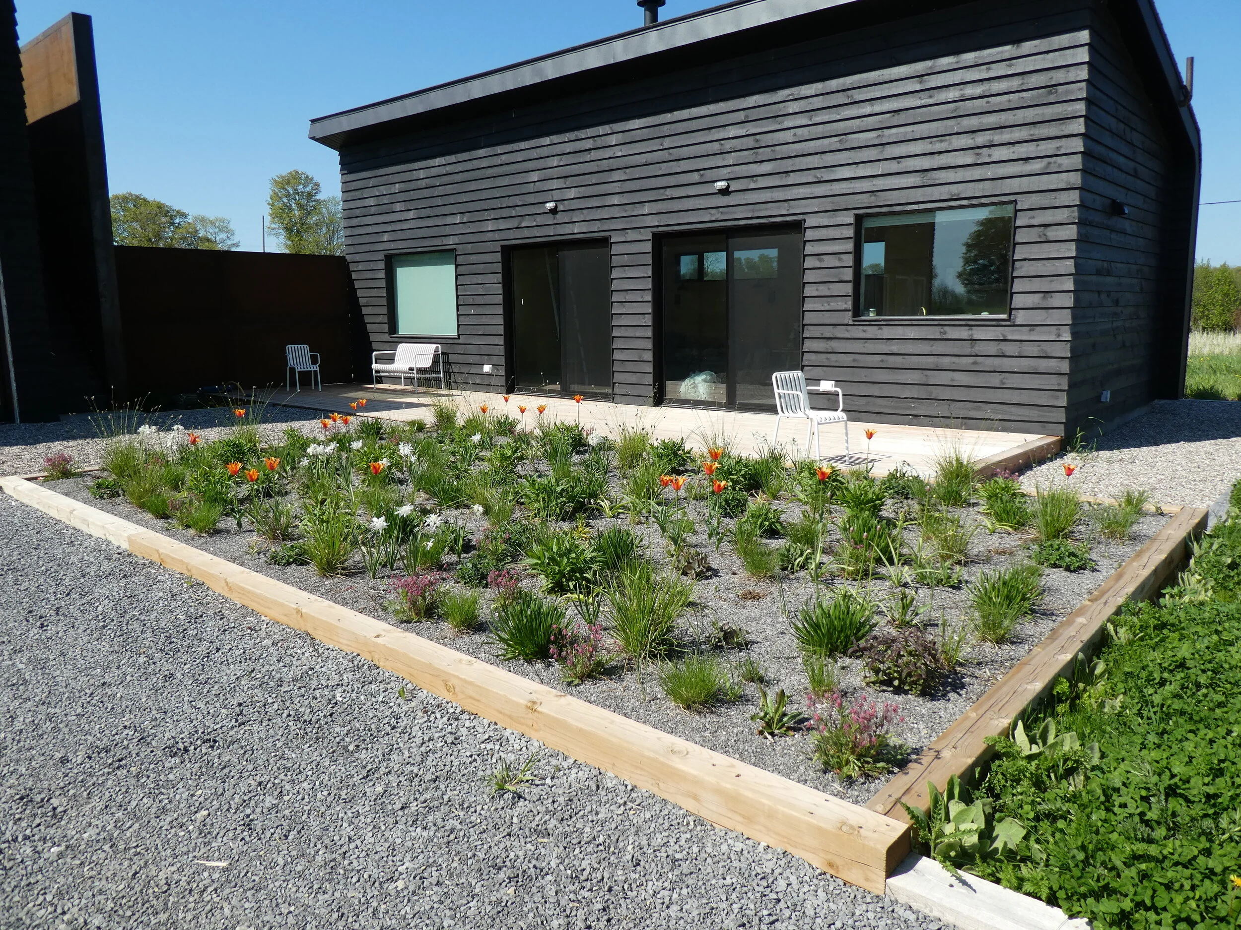 The Guest House Garden — Wild by Design