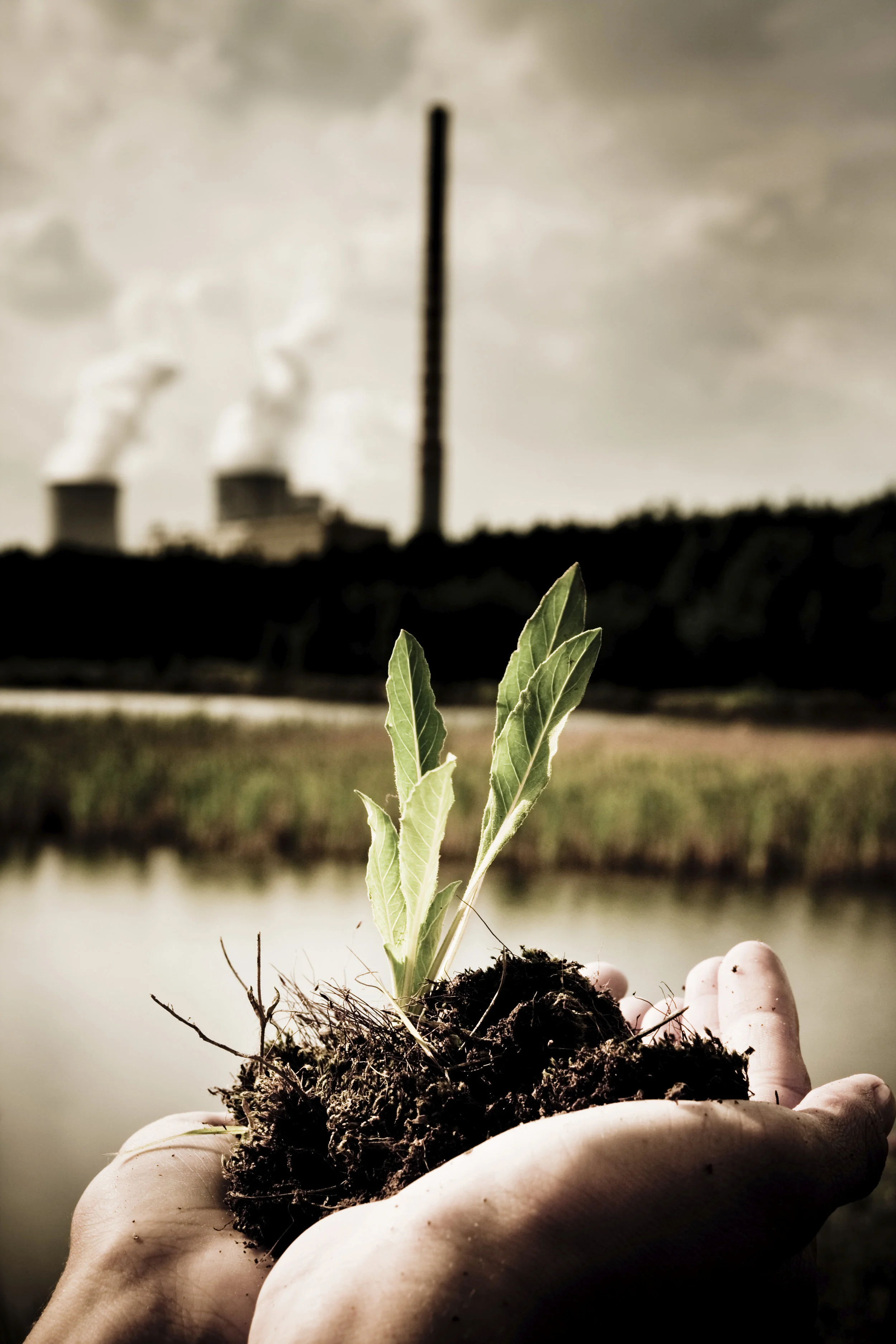 Bulk Bags & Multiwall Sacks | In Stock, Same Day Shipping | Capro ...