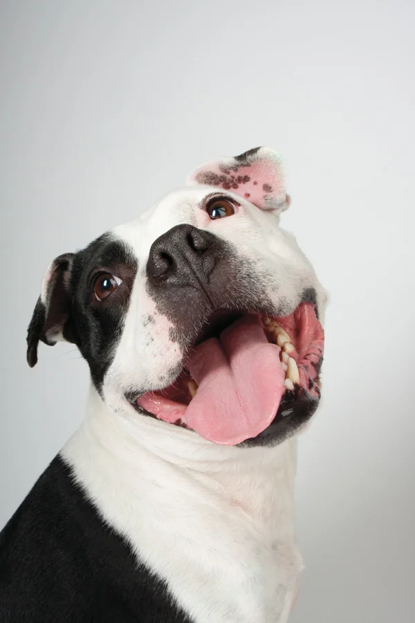 The Photo Book Projects Melissa Mcdaniel