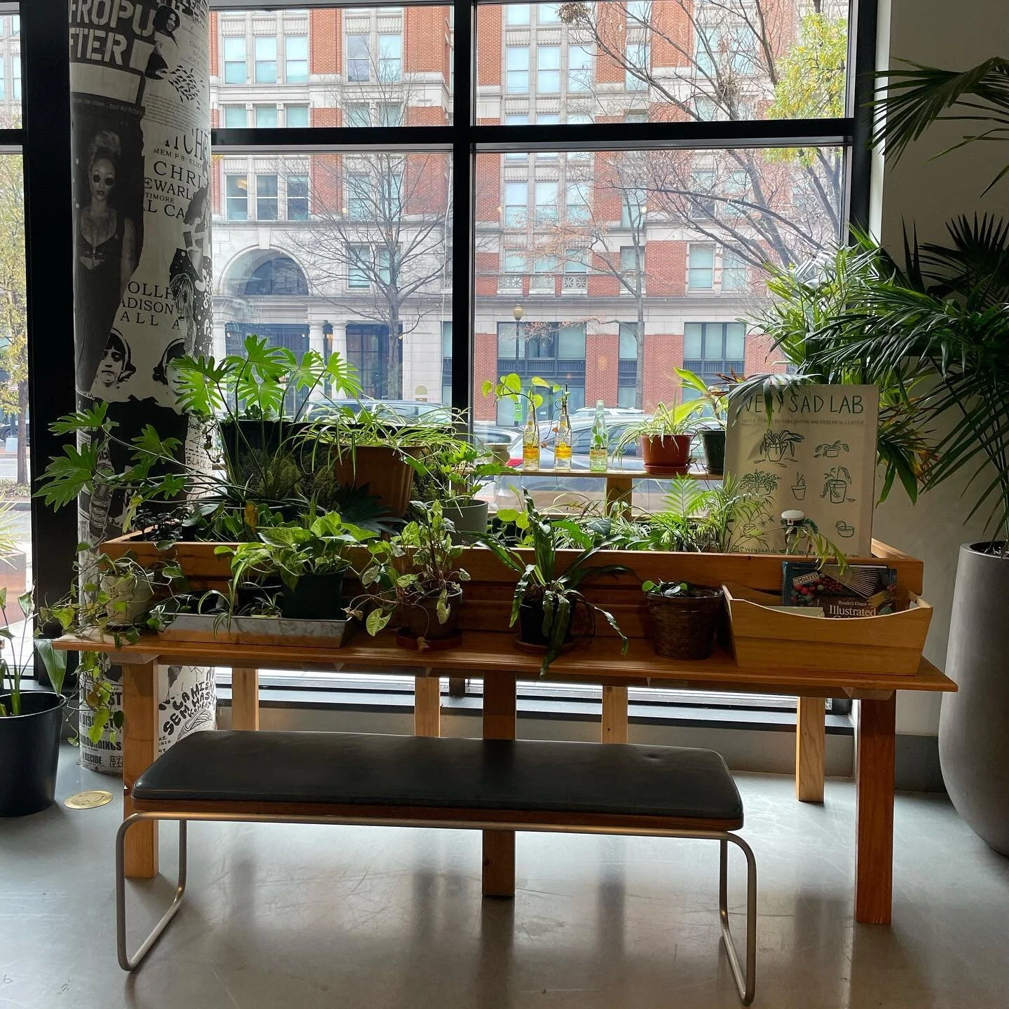 VERY SAD LAB — Naoco Wowsugi