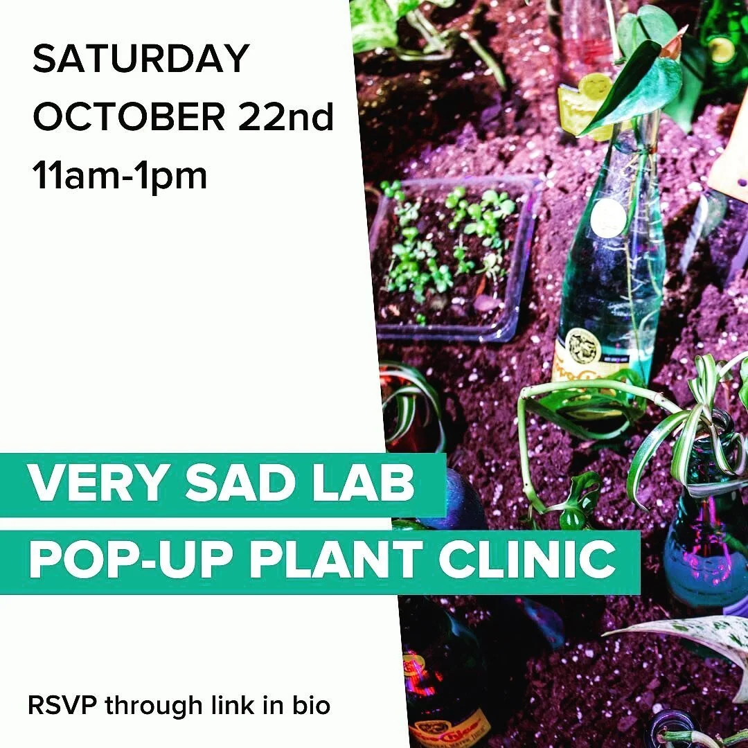 VERY SAD LAB — Naoco Wowsugi