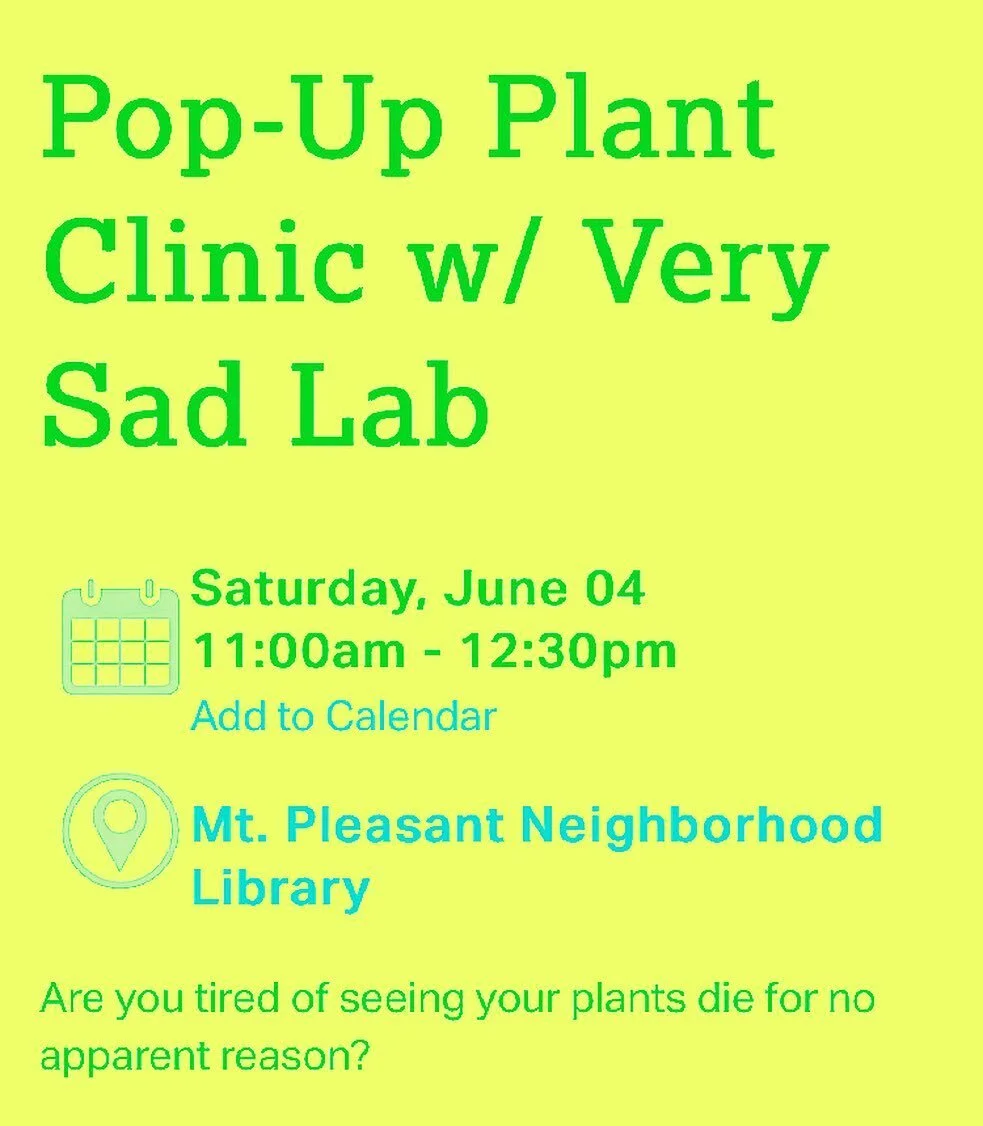 VERY SAD LAB — Naoco Wowsugi