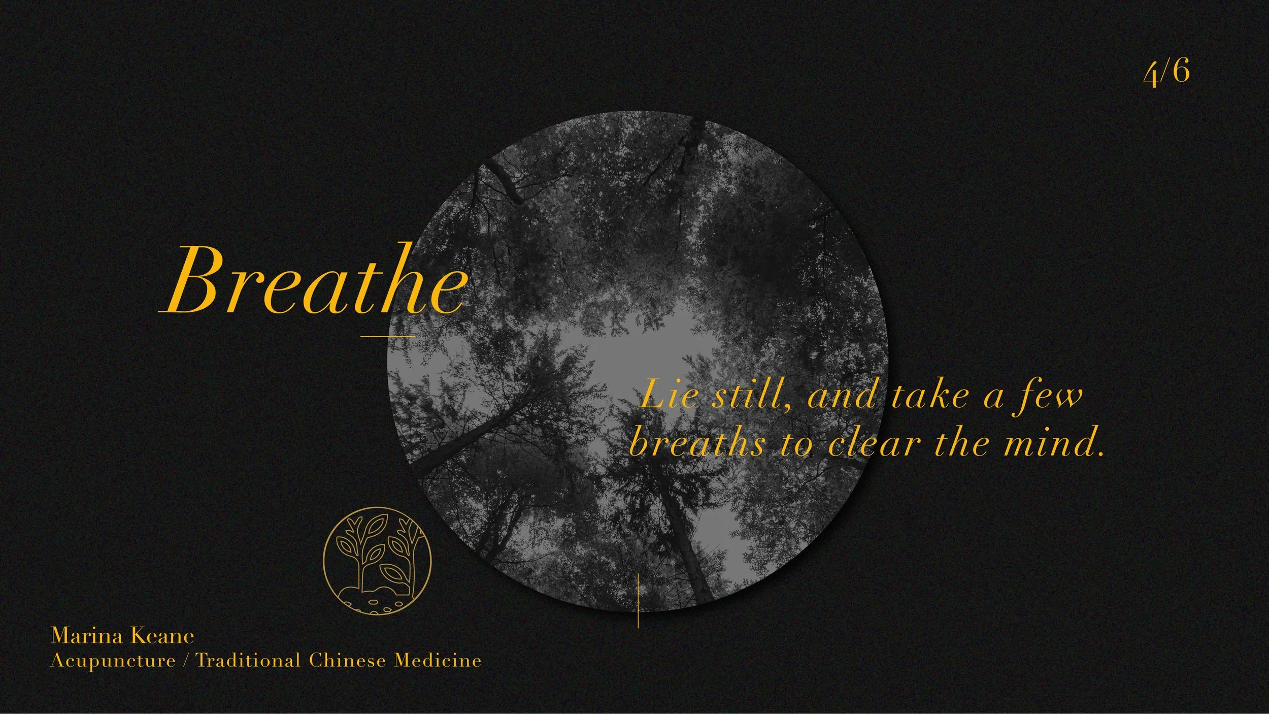 Holistic Acupuncture in San Francisco | Marina Keane Acupuncture ...