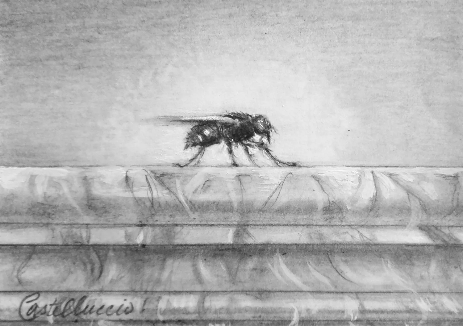 Federico Castelluccio (Italy) — Chetkin Gallery