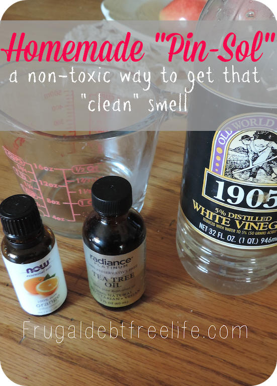 Homemade Non Toxic Pin Sol — Frugal Debt Free Life