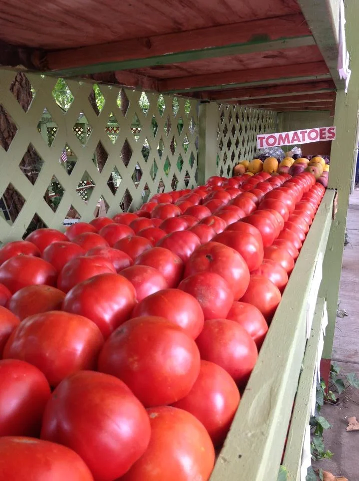 Largest & Oldest Produce Market in NC. 53rd Season — Perkins Orchard