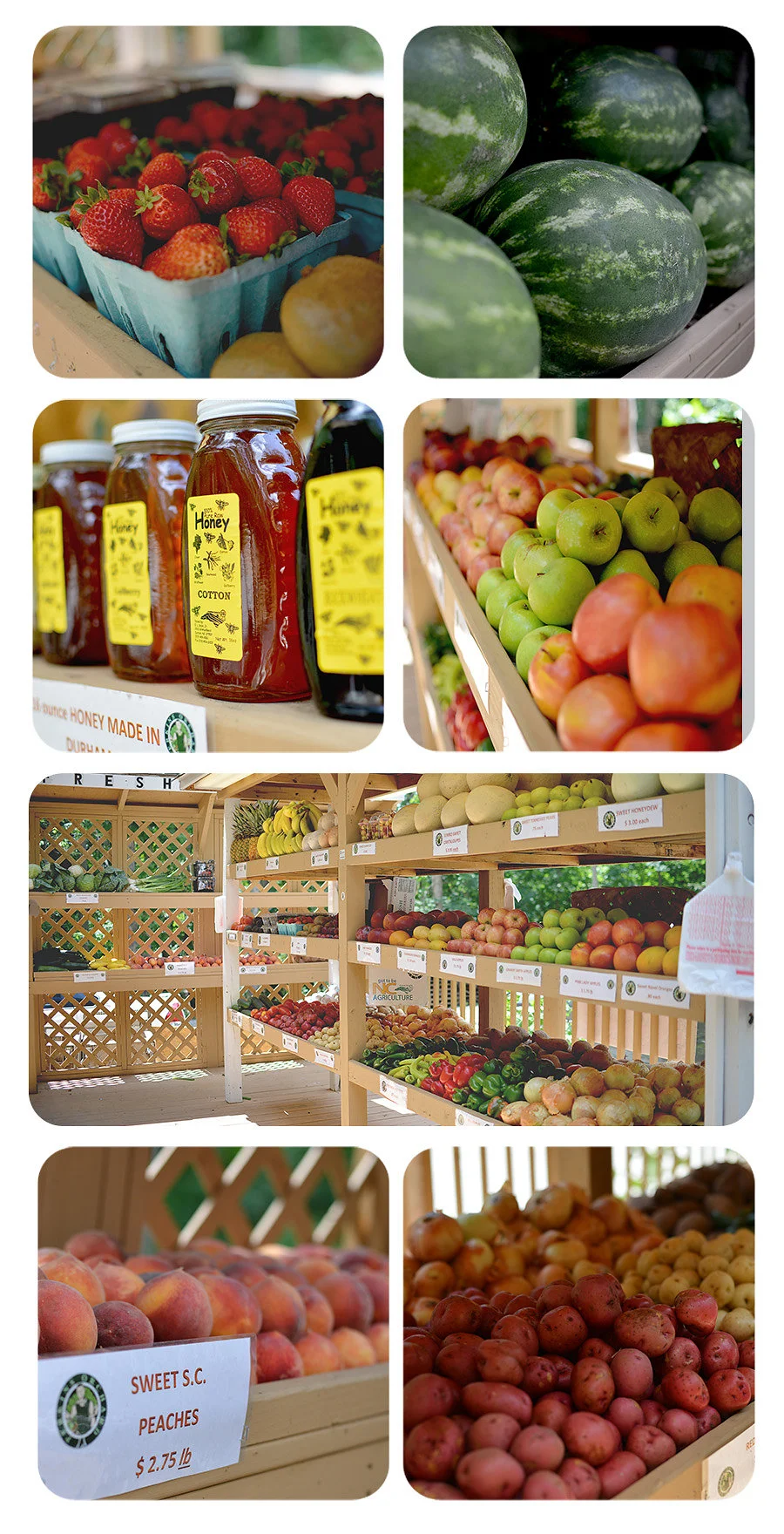 Largest & Oldest Produce Market in NC. 53rd Season — Perkins Orchard