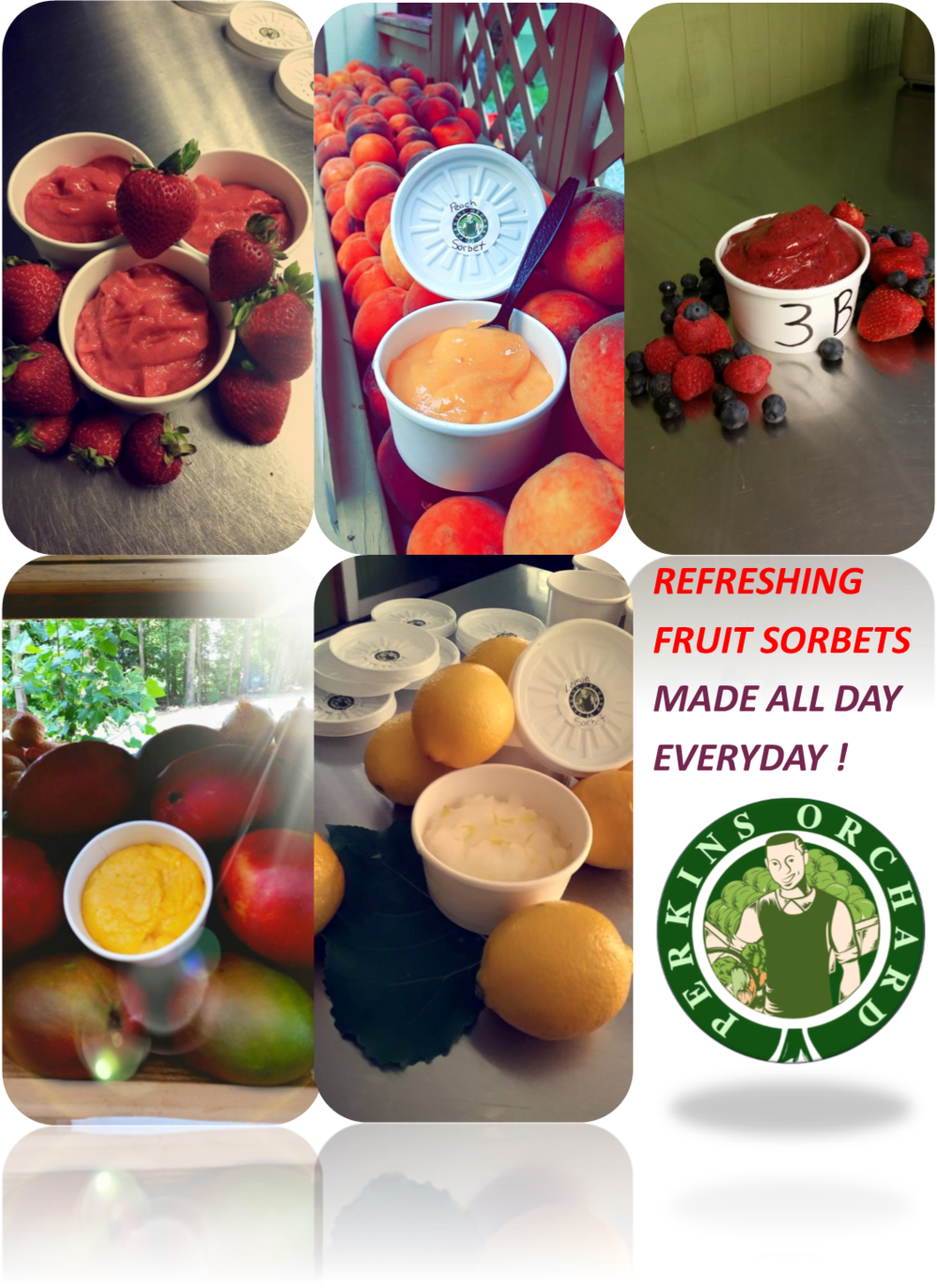 FRUIT EDIBLES — Perkins Orchard