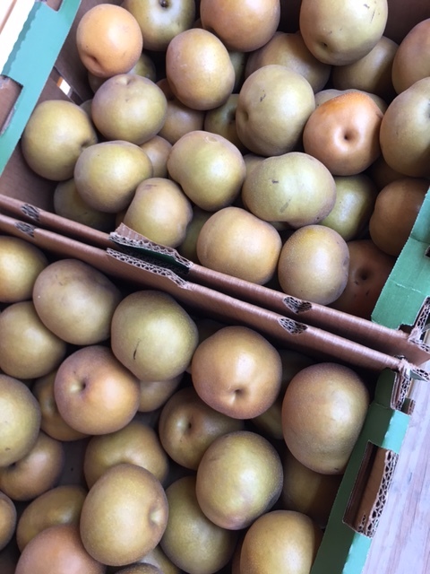 APPLE INDEX. we have 30 VARIETIES coming! — Perkins Orchard