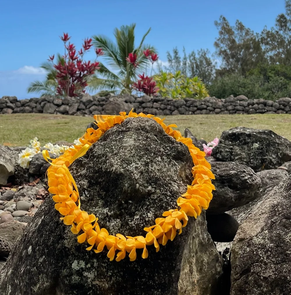 Aloha in Action