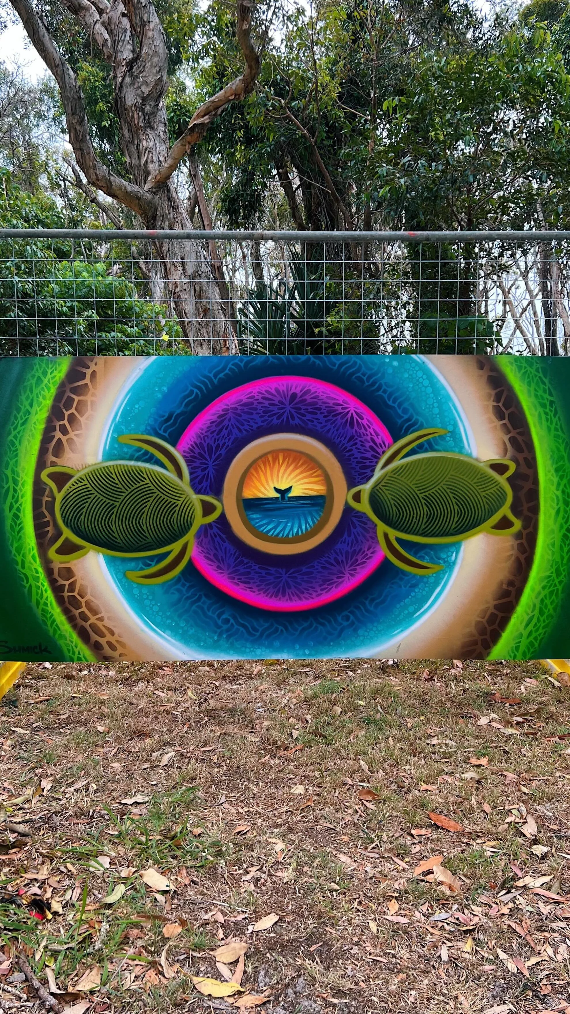 Shmick Creations | Gold Coast Mural Artist