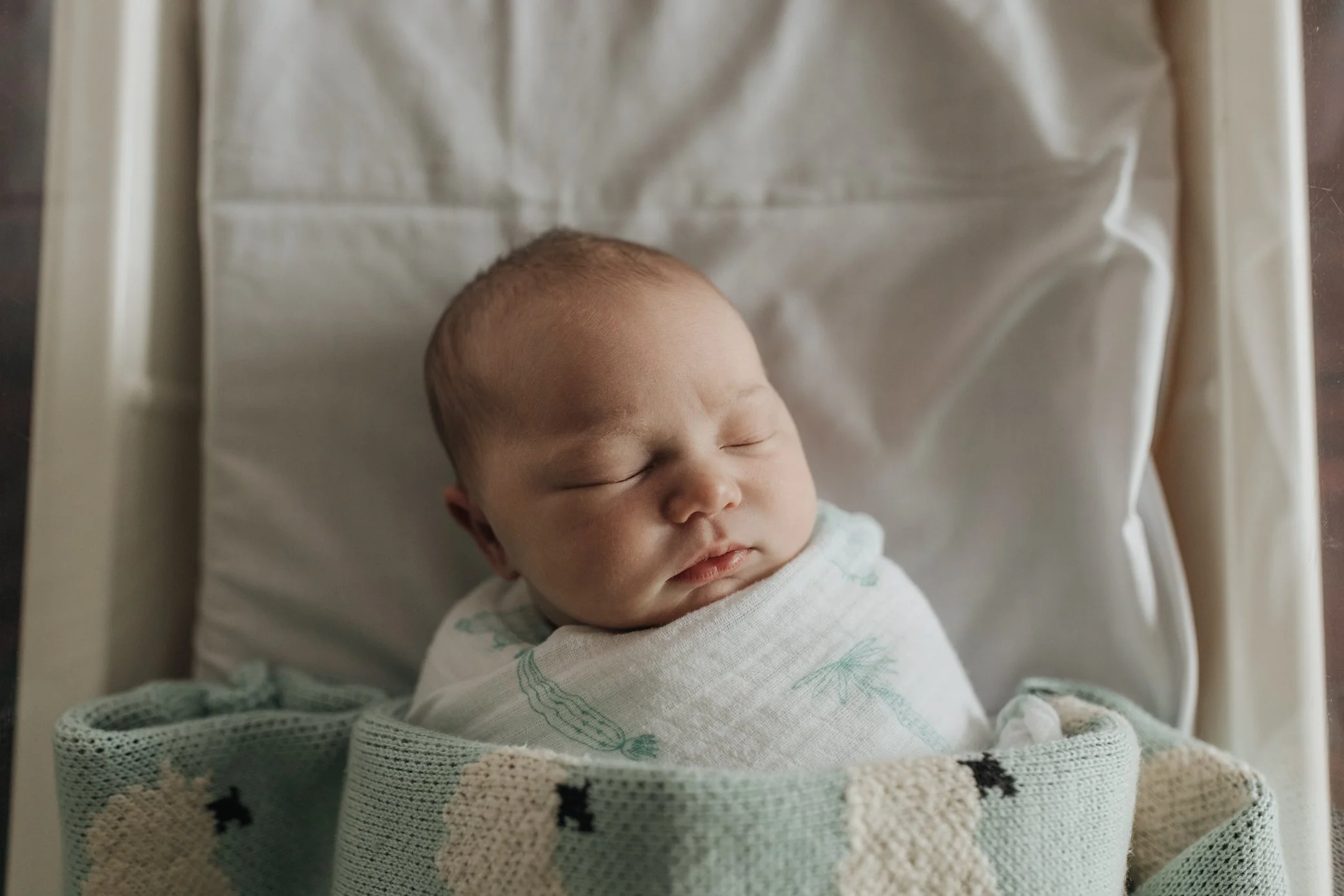 Geelong In home Newborn Lifestyle Baby Bella arte photography