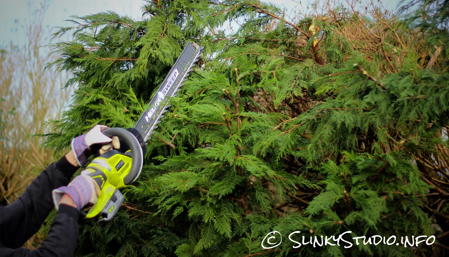 Ryobi 18V ONE+ Hedge Trimmer Review: Cutting Freedom - Slinky Studio