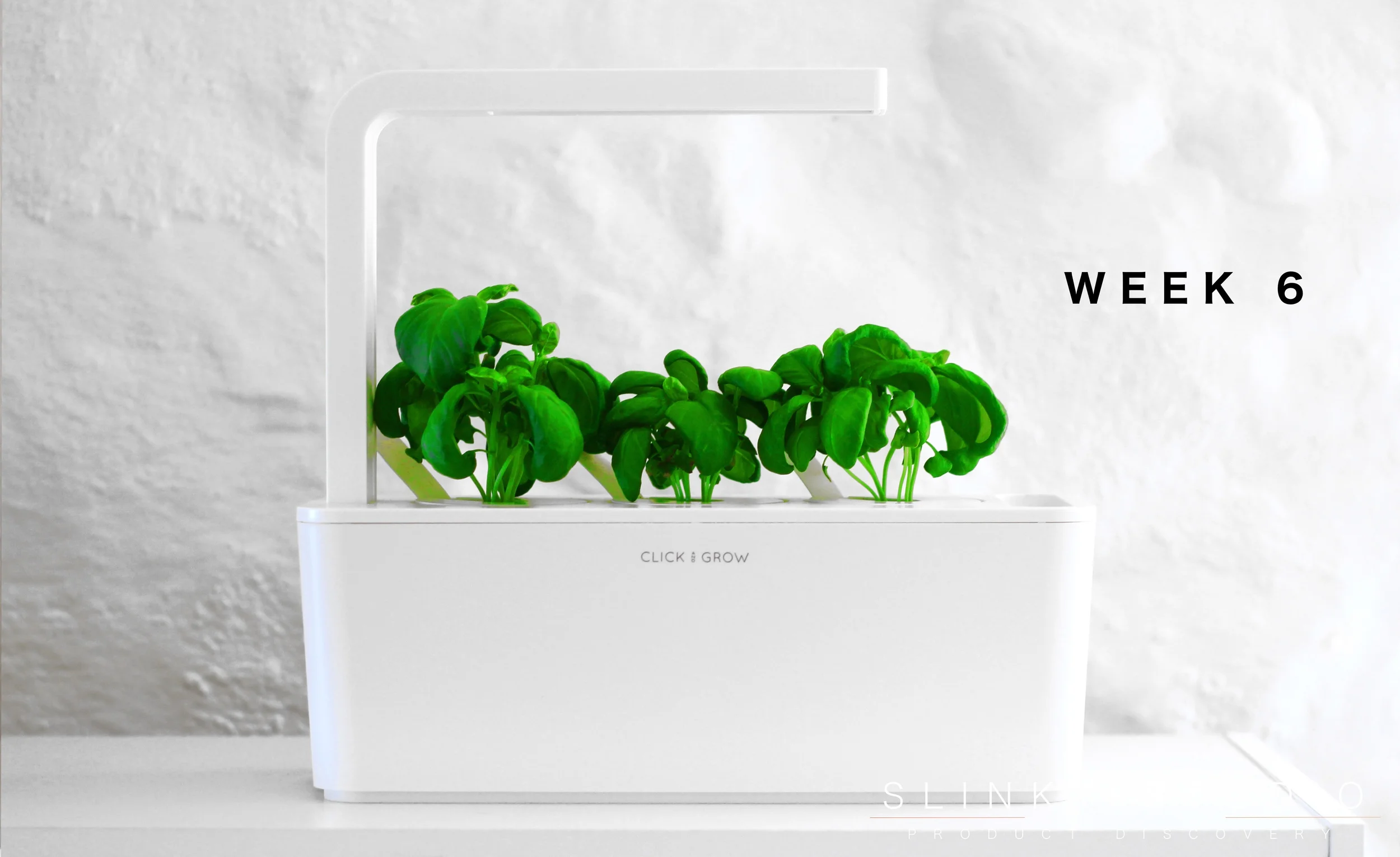 Click & Grow Smart Garden Review: The Future of Indoor Gardening ...