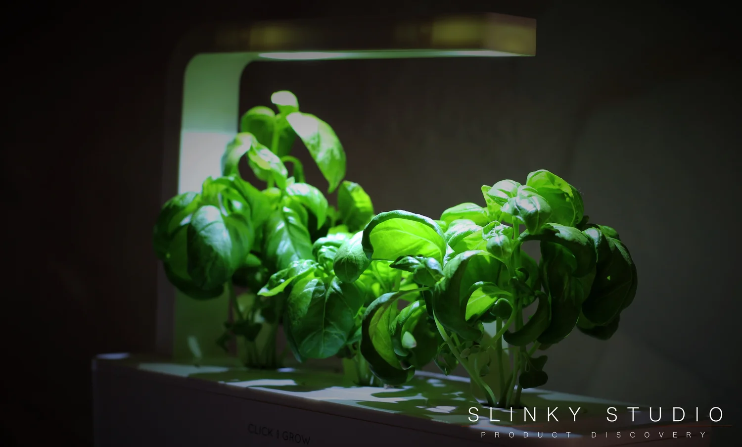 Click & Grow Smart Garden Review: The Future of Indoor Gardening ...