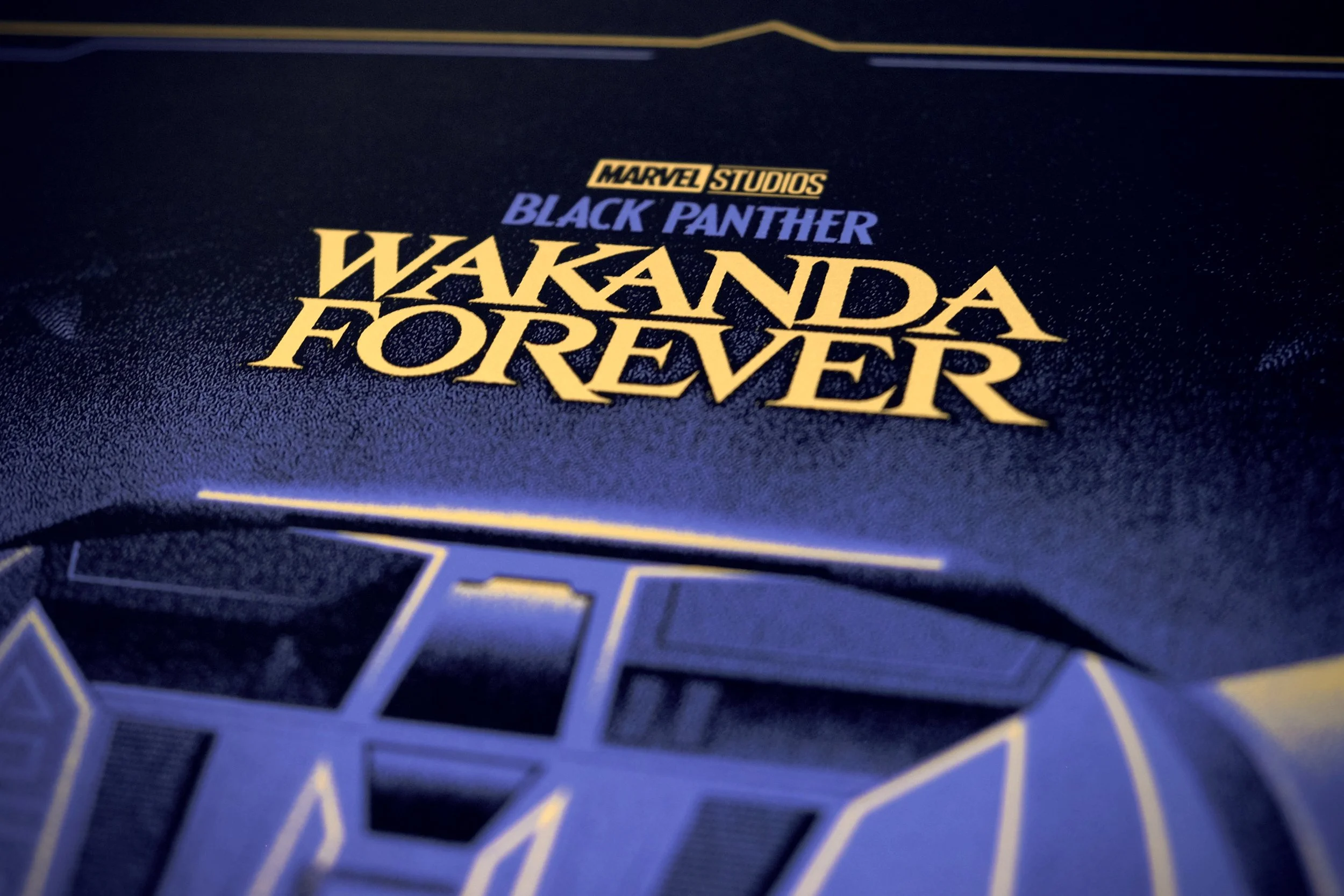 Black Panther: Wakanda Forever Poster — DKNG