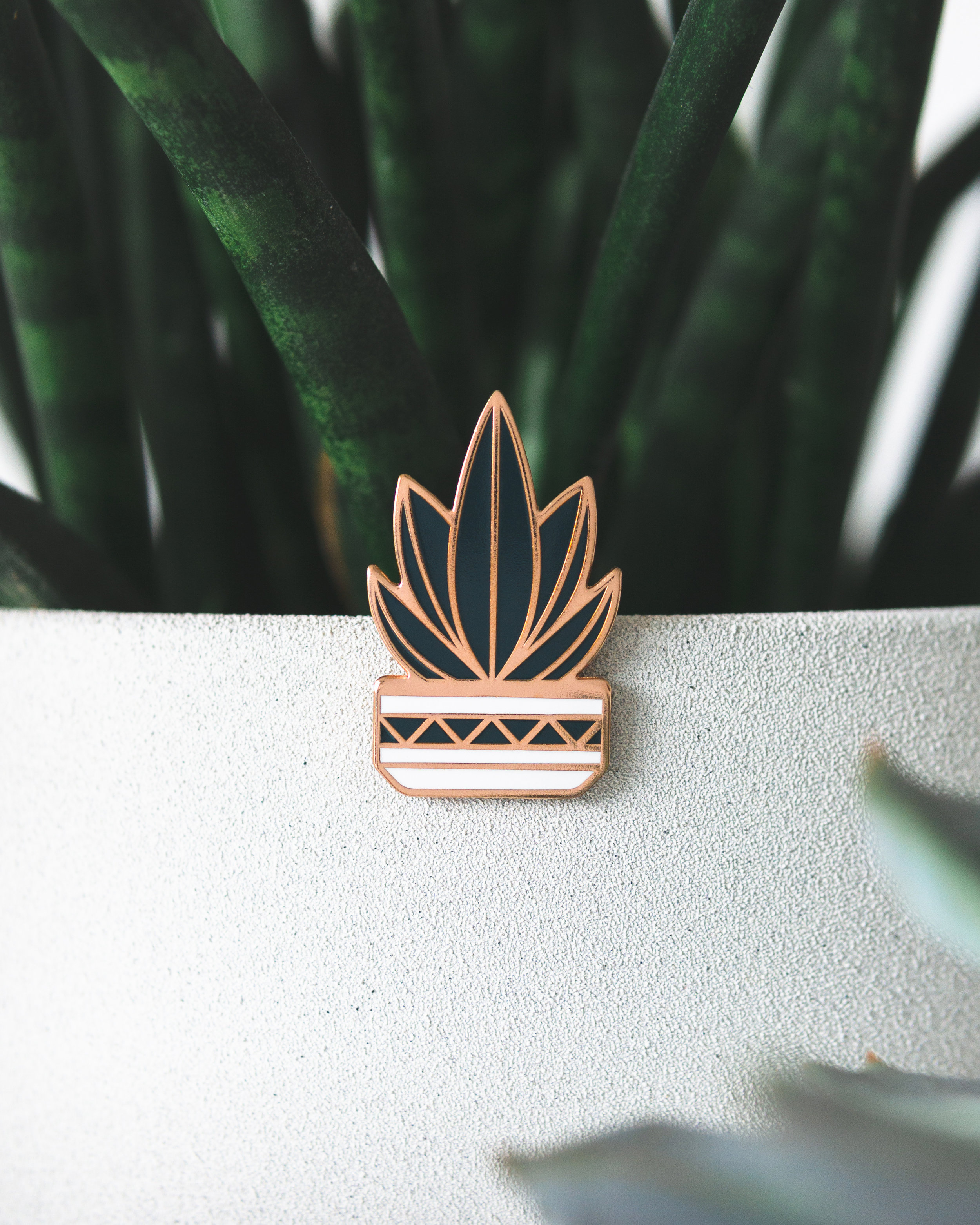 Agave Pin — DKNG