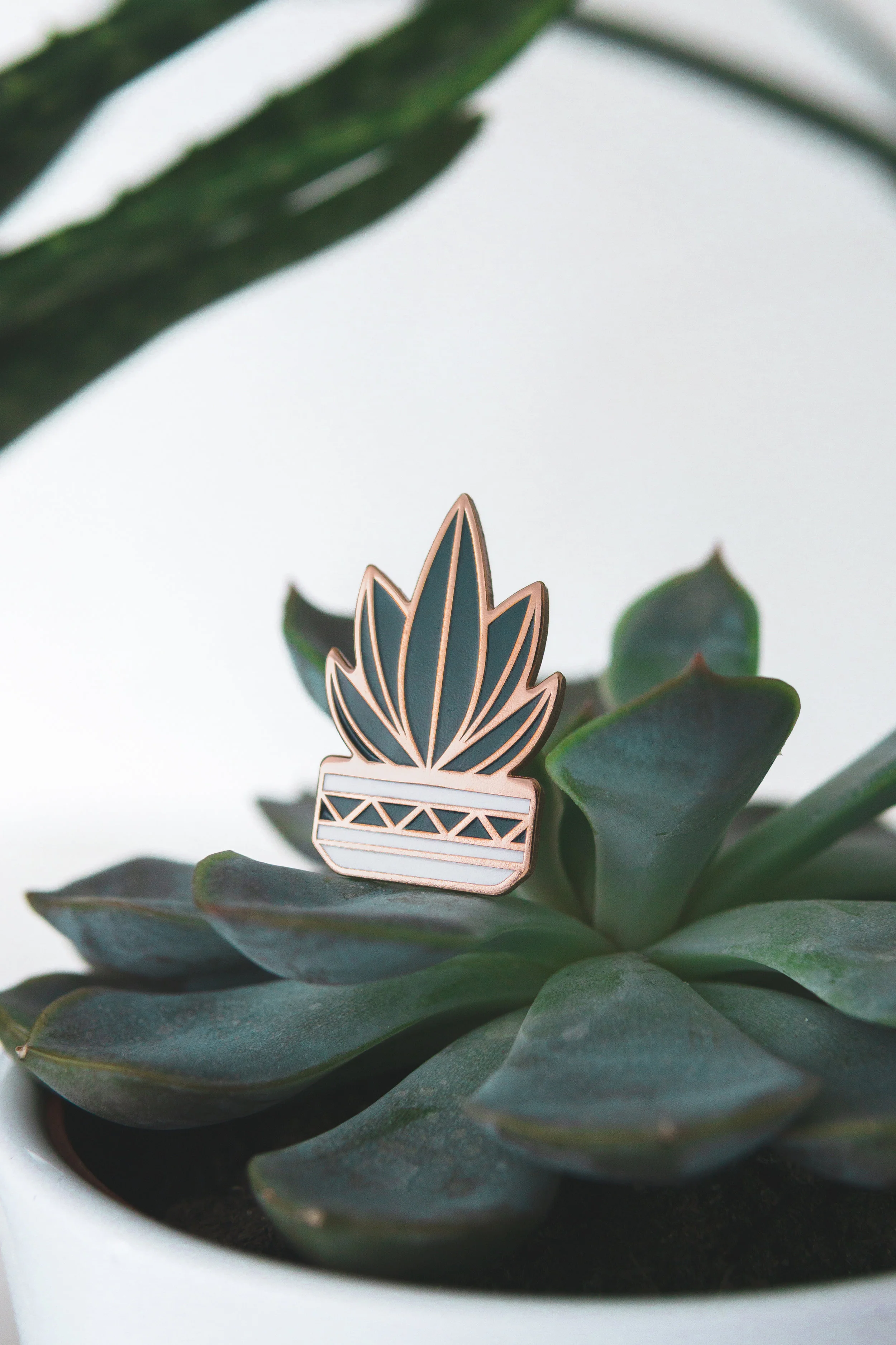 Agave Pin — DKNG
