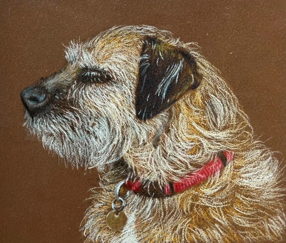 Adults-Drawing for Everyone — Denise Wey Artist