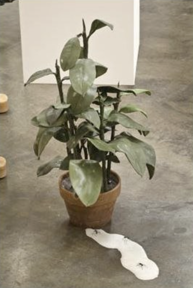 Works 2013-1986 — Jeanne Silverthorne