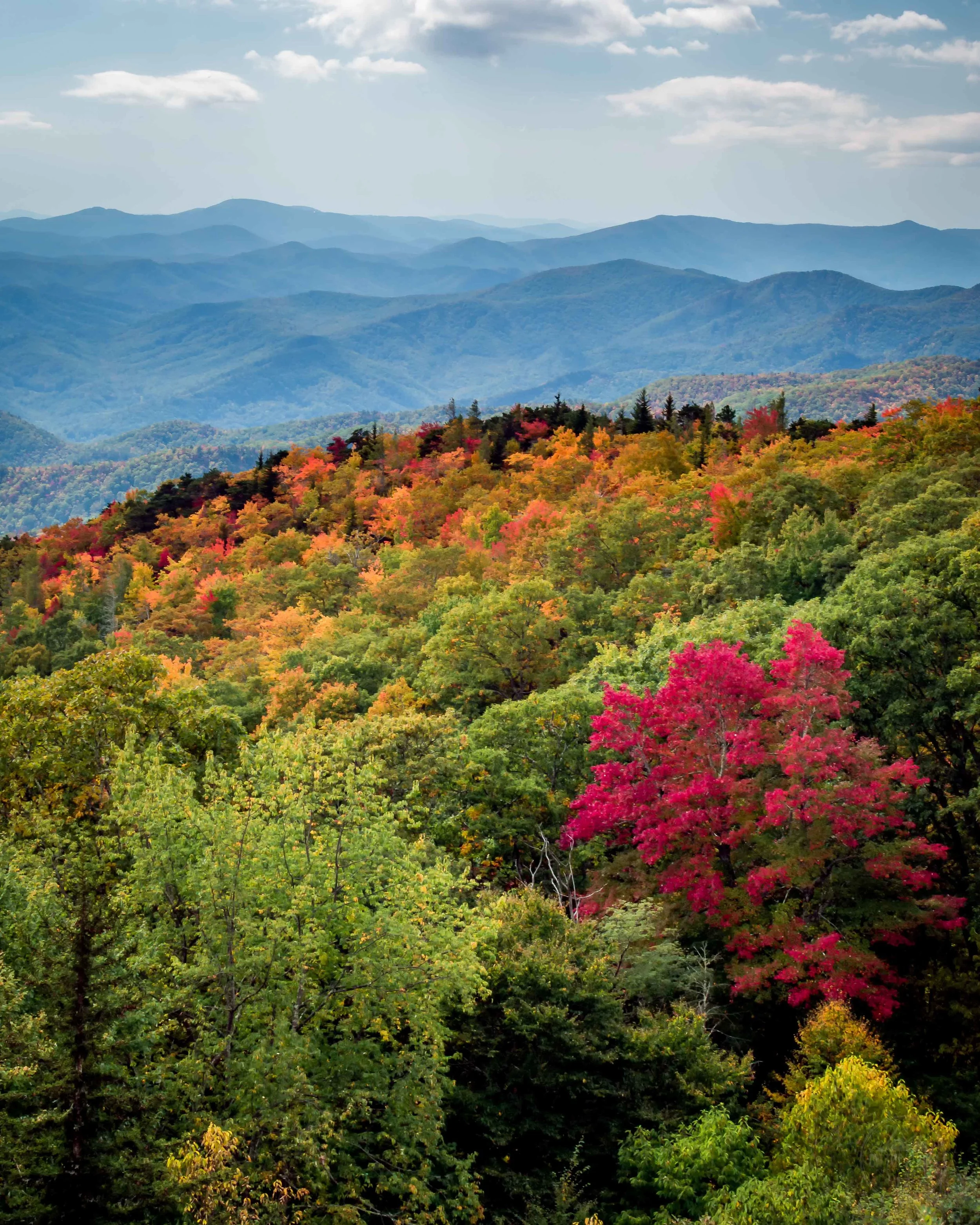 North Carolina Nature Photography
