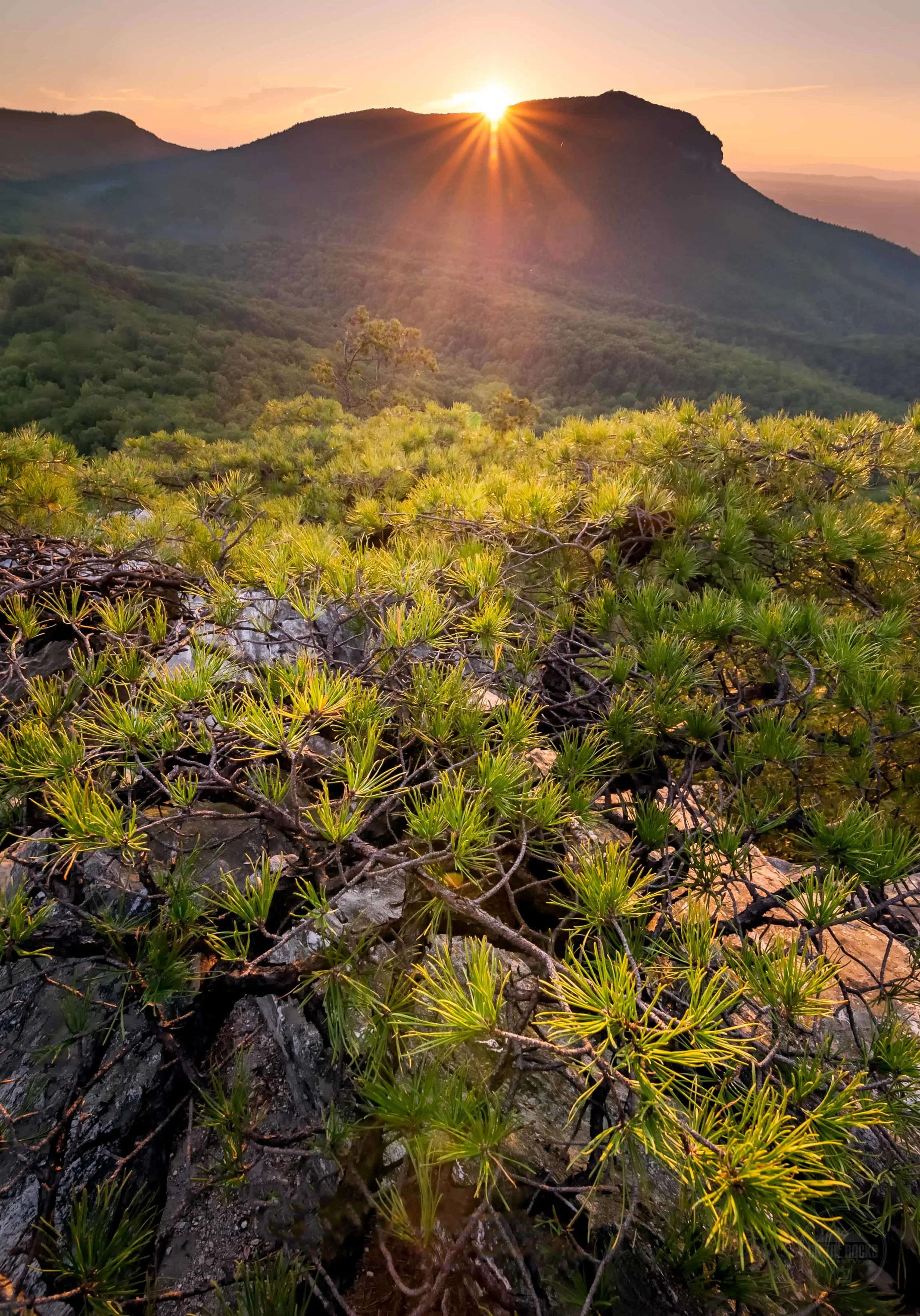 North Carolina Landscape Photography