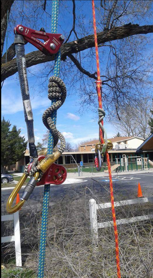 Highclimbers Professional Tree CareHigh Climbers