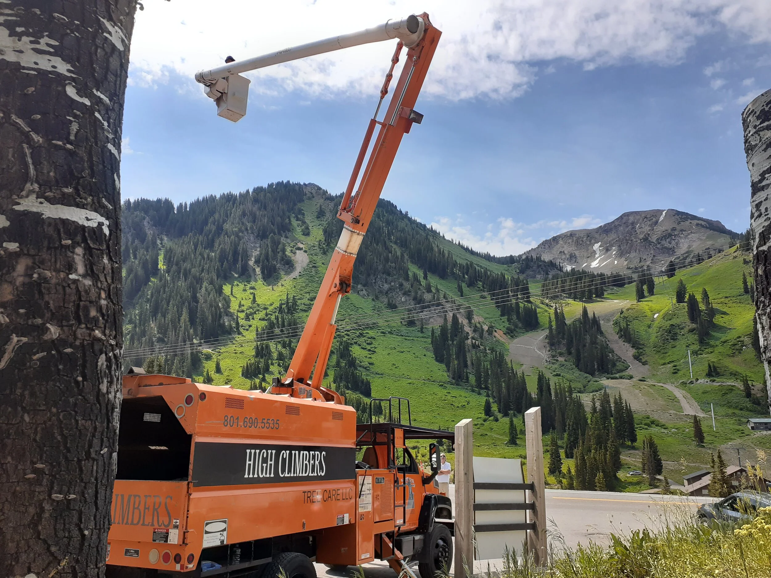 Highclimbers Professional Tree CareHigh Climbers