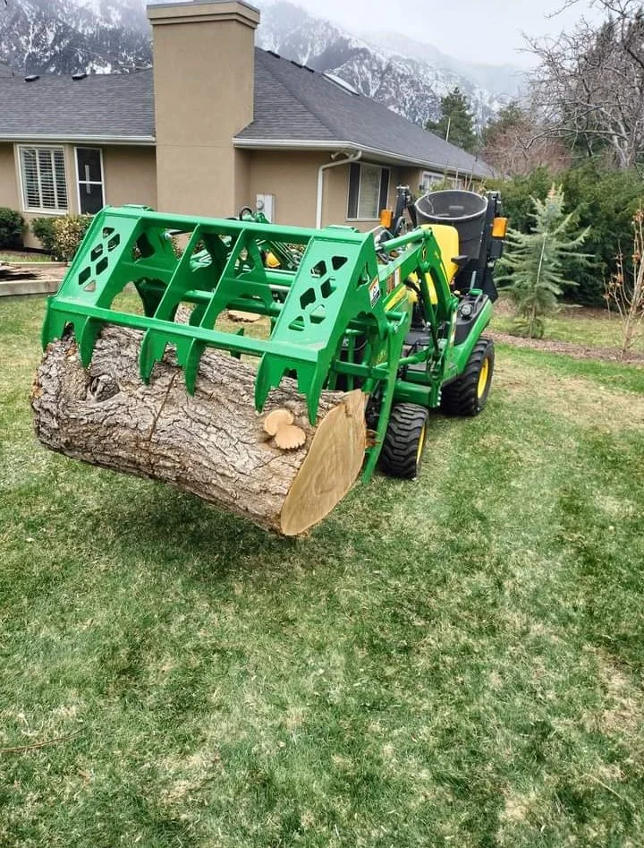 High Climbers Tree Care LLC - Utah's Best Tree Trimming and Removal Company