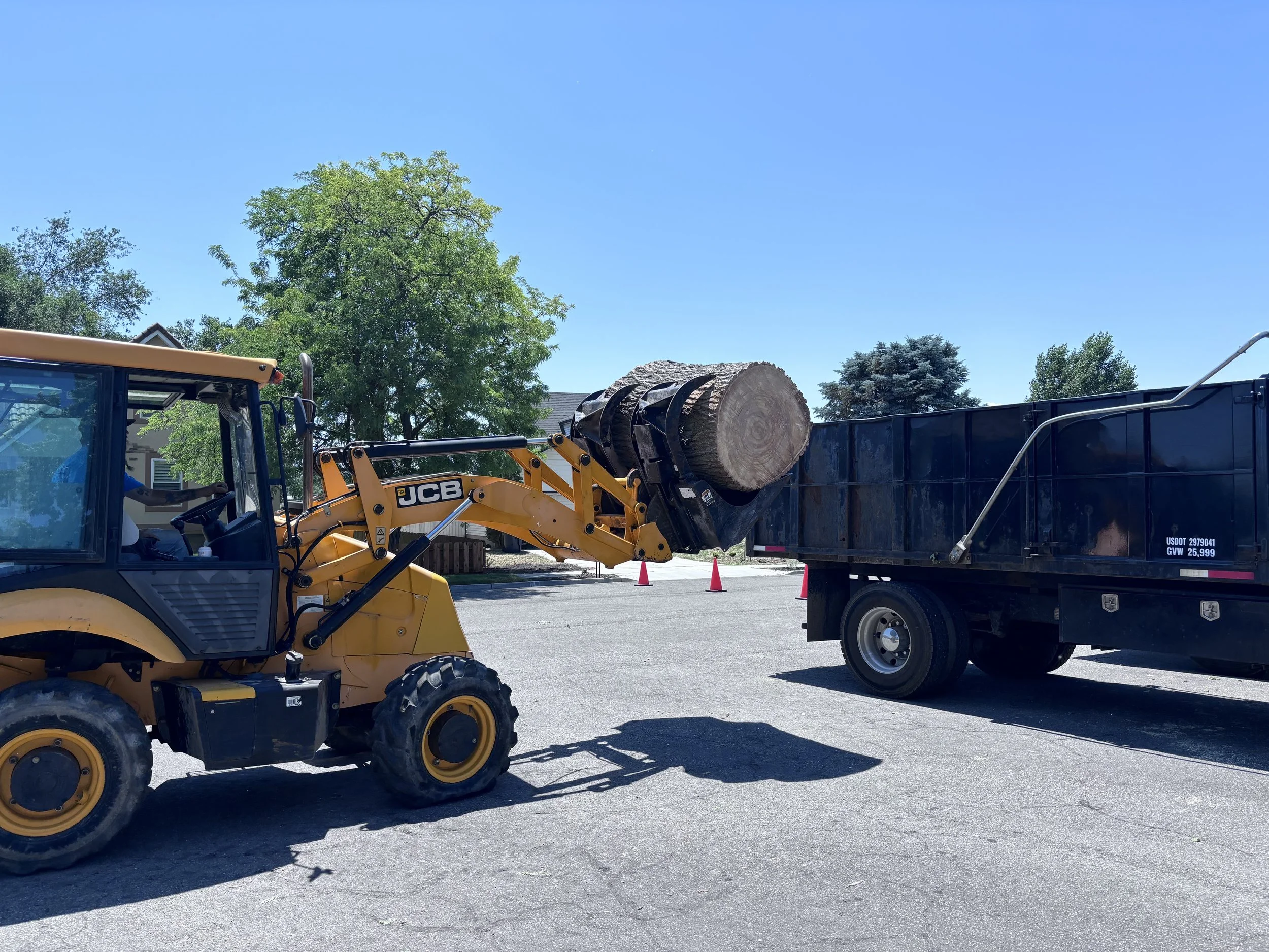 High Climbers Tree Care LLC - Utah's Best Tree Trimming and Removal Company