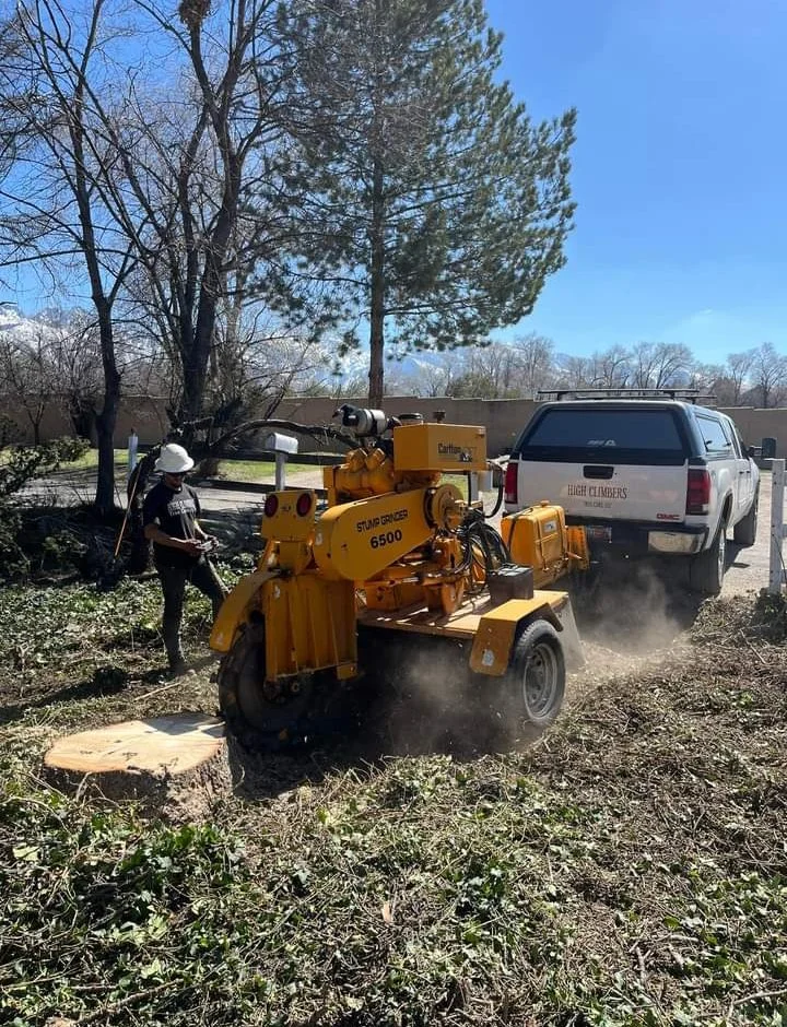 High Climbers Tree Care LLC - Utah's Best Tree Trimming and Removal Company