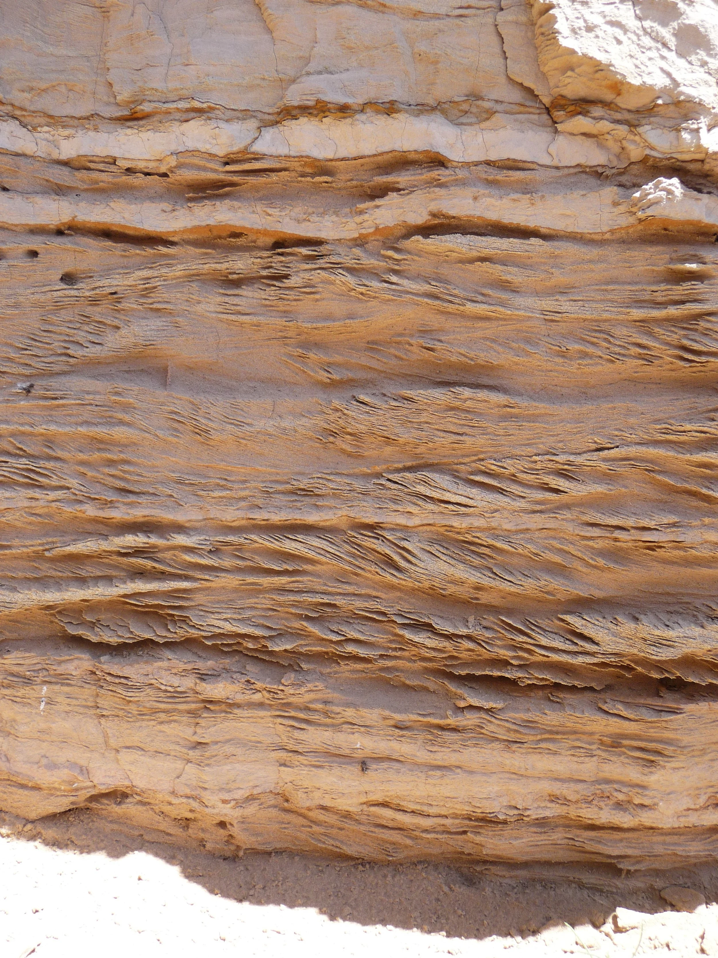 Cin-Ty Lee LabCin-Ty Lee