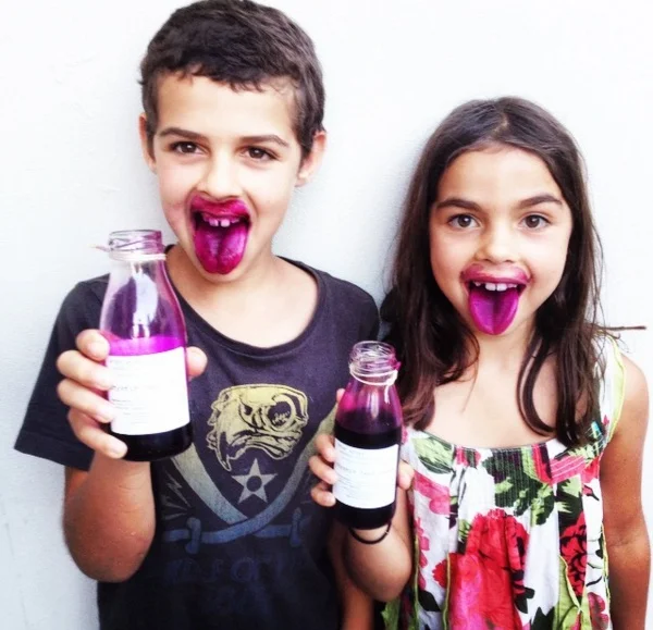 "NO-CRAP" chocolate crackles! — Star Anise Organic Wholefoods