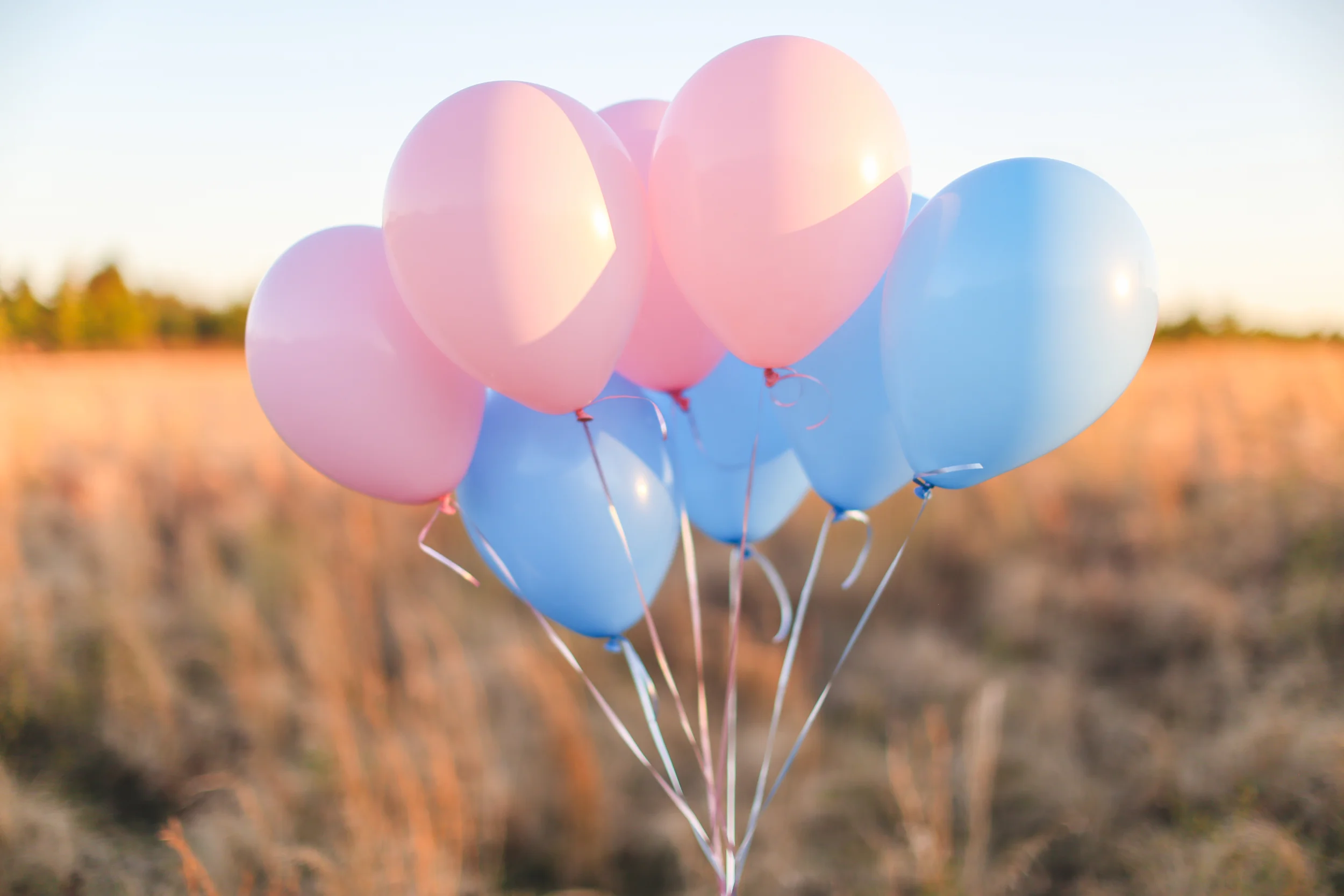 Golden Hour Baby Announcement // Justin+Christa — Courville Photography