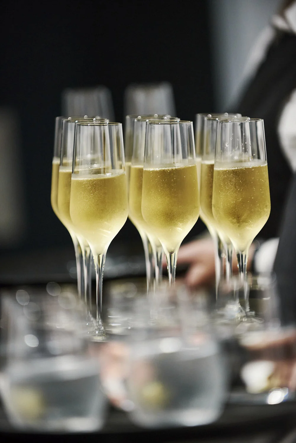 Ben Quilty ACO — Aaron Walker Photography