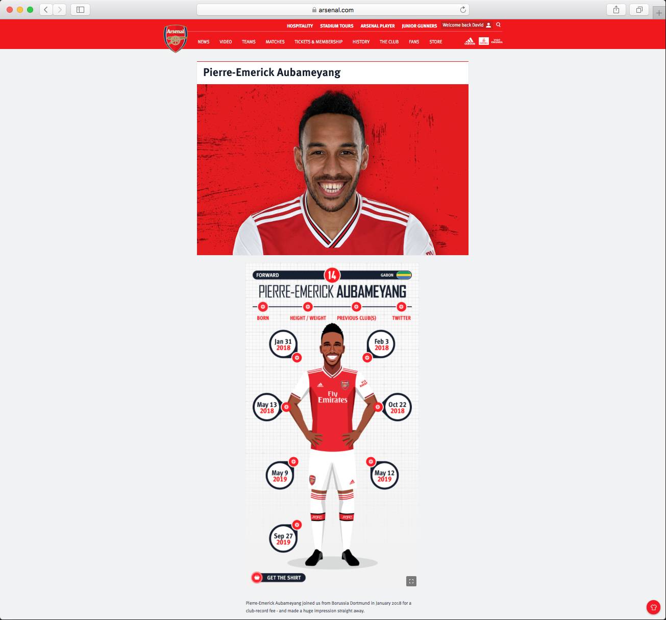 Arsenal FC squad illustrations — Dave Flanagan Illustration