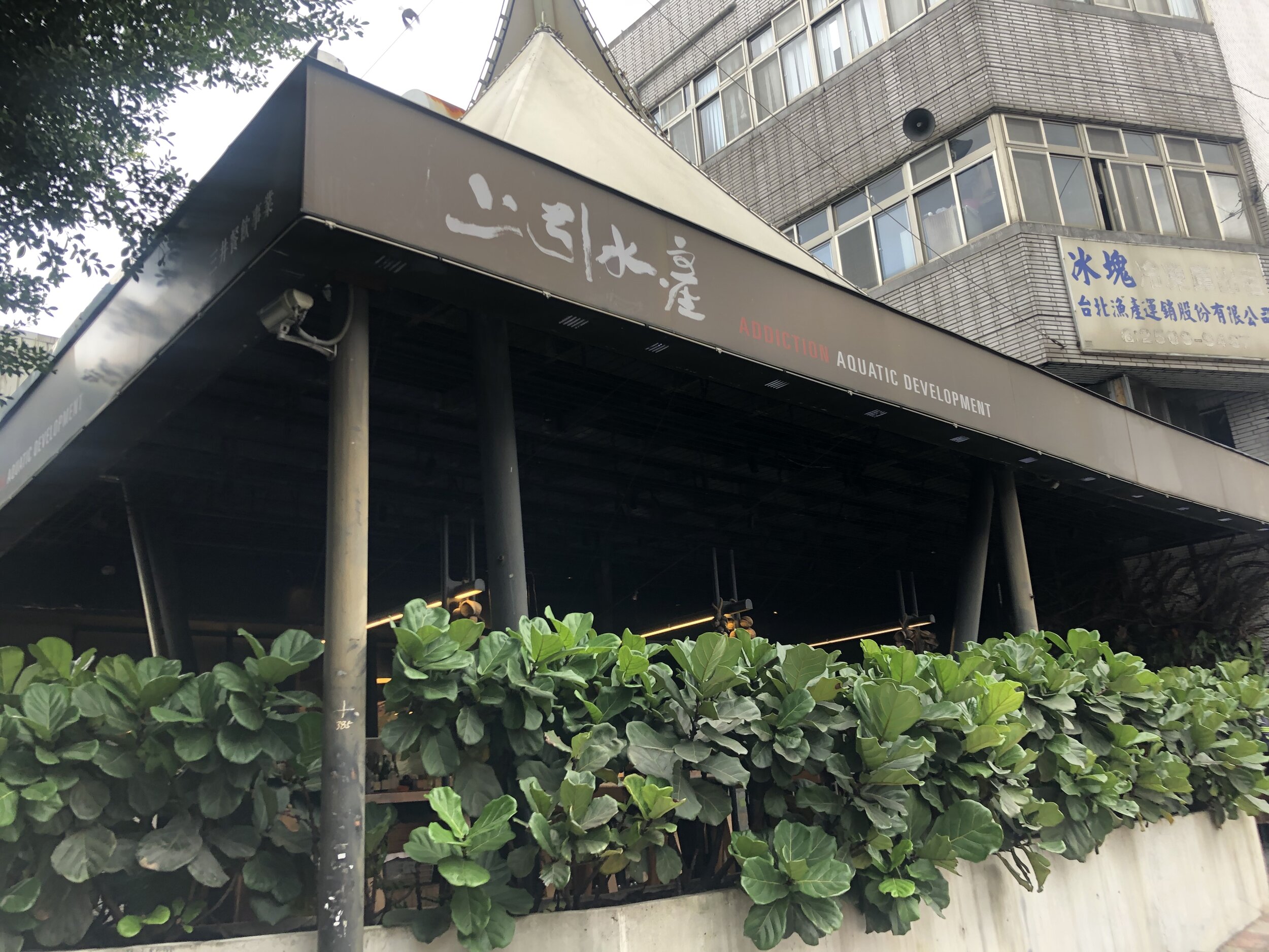 Taipei Taiwan Travel Guide 2020 — TIFFY DIAMOND