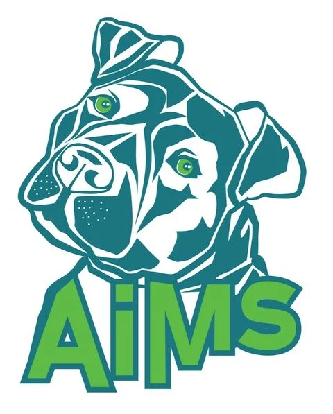 AIMS Middle School JT Daniels