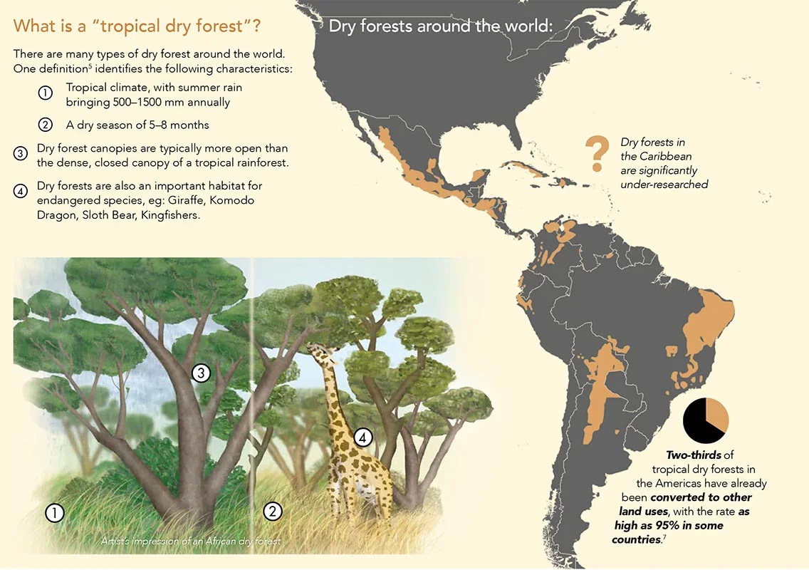 Tropical Dry Forest Plants List