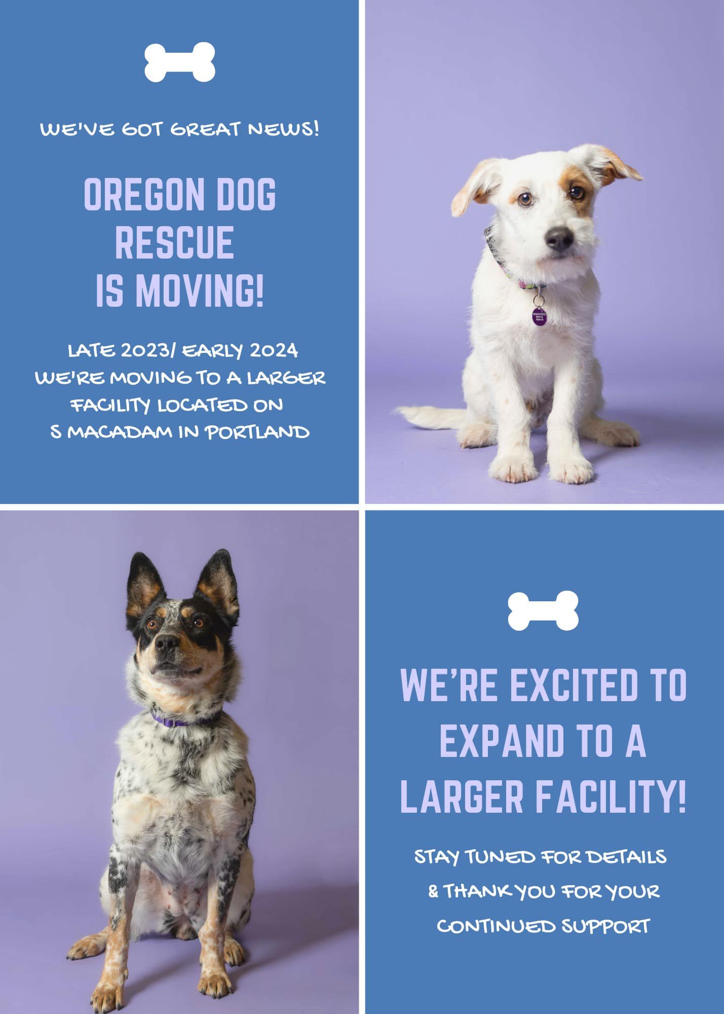 Oregon Dog Rescue