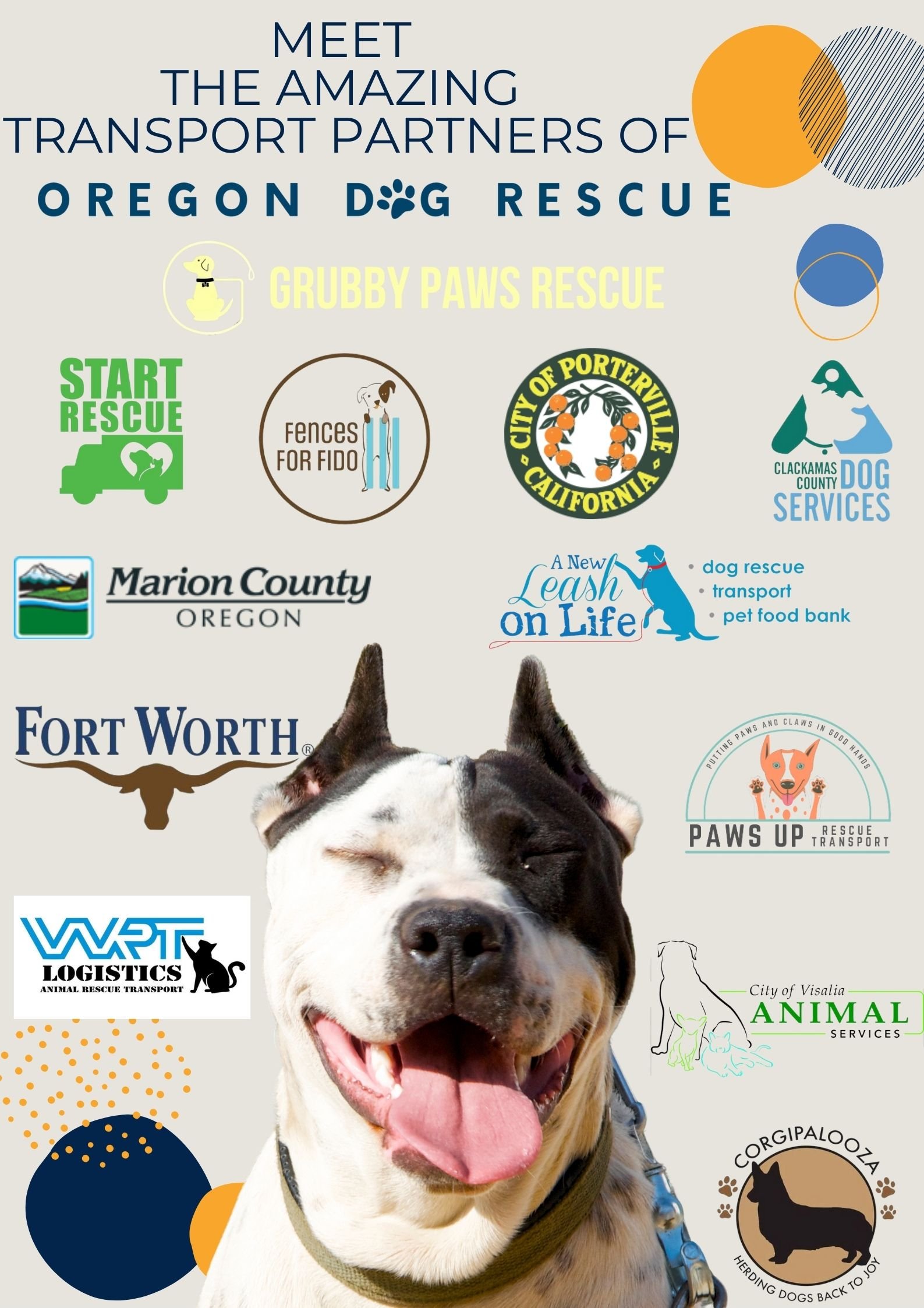 Sponsors — Oregon Dog Rescue