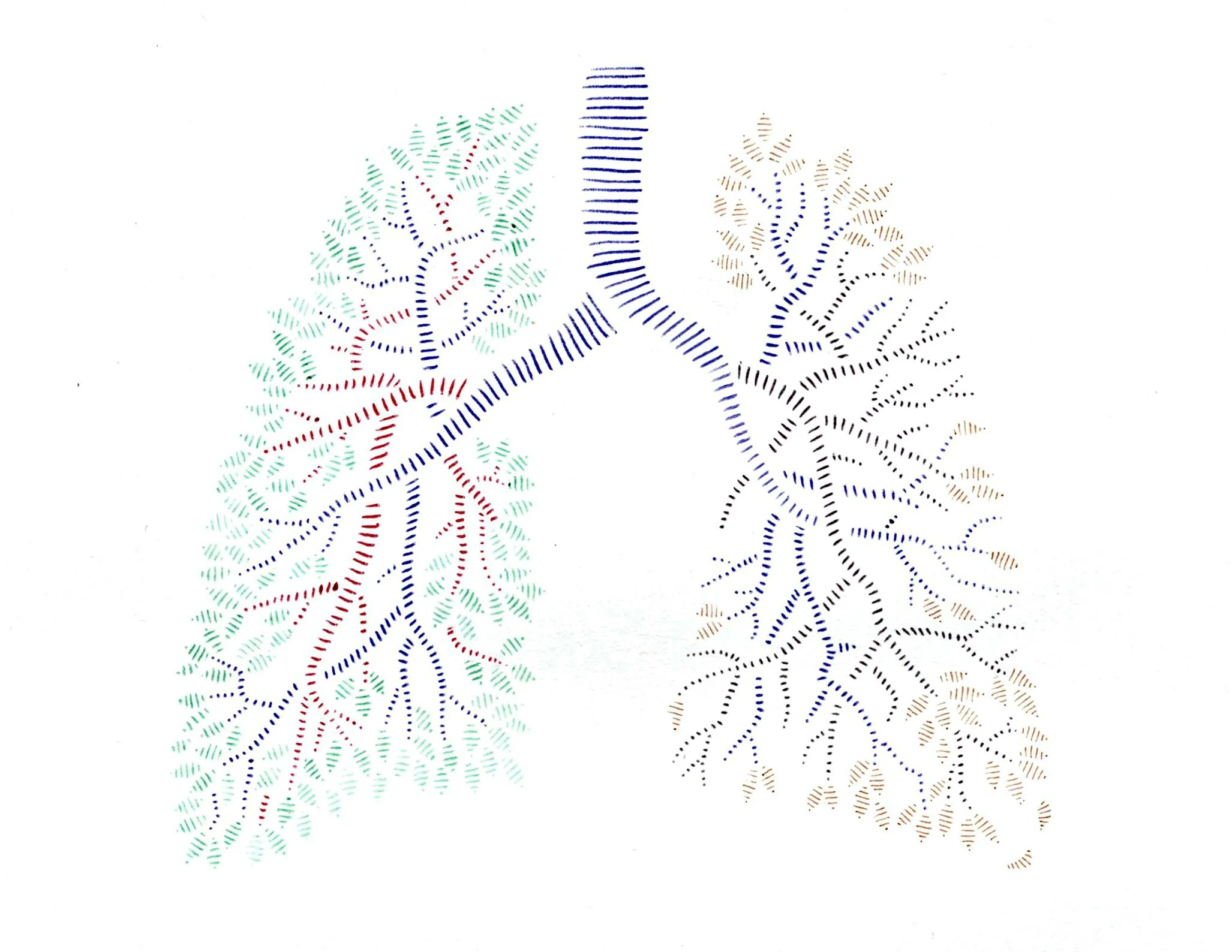 Inspiration/Expiration — Intima