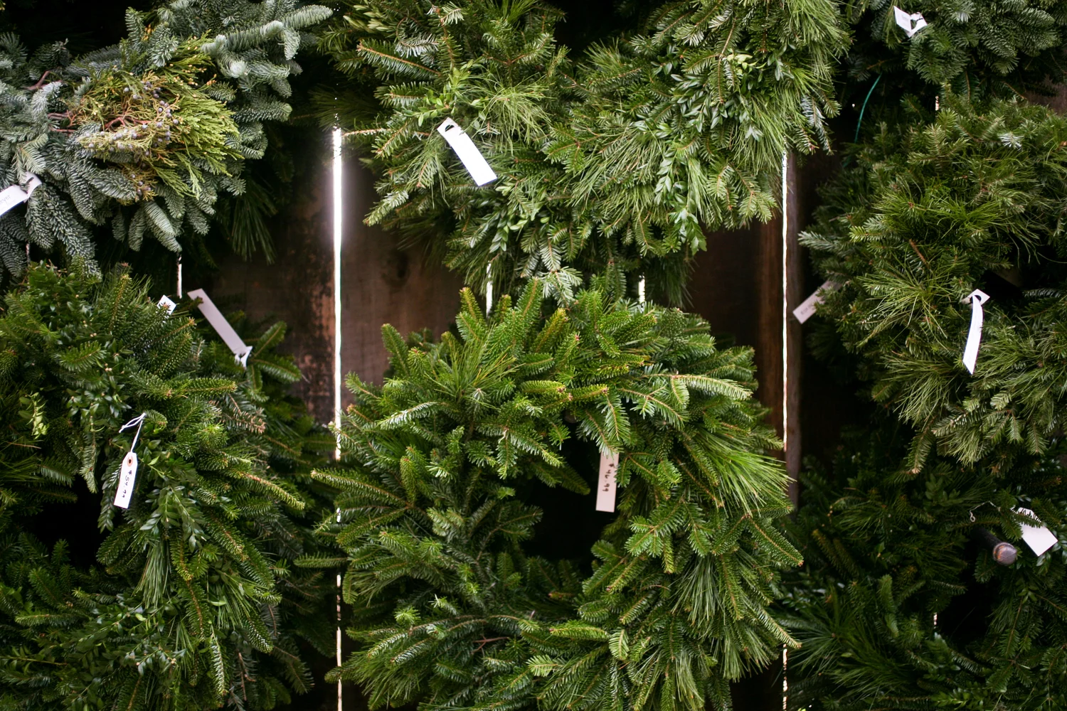 Hillenmeyer Christmas Shop — folk