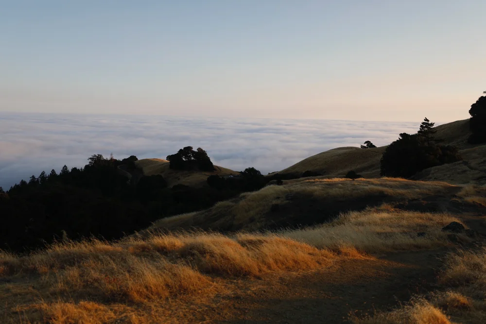 Mount Tamalpais — folk