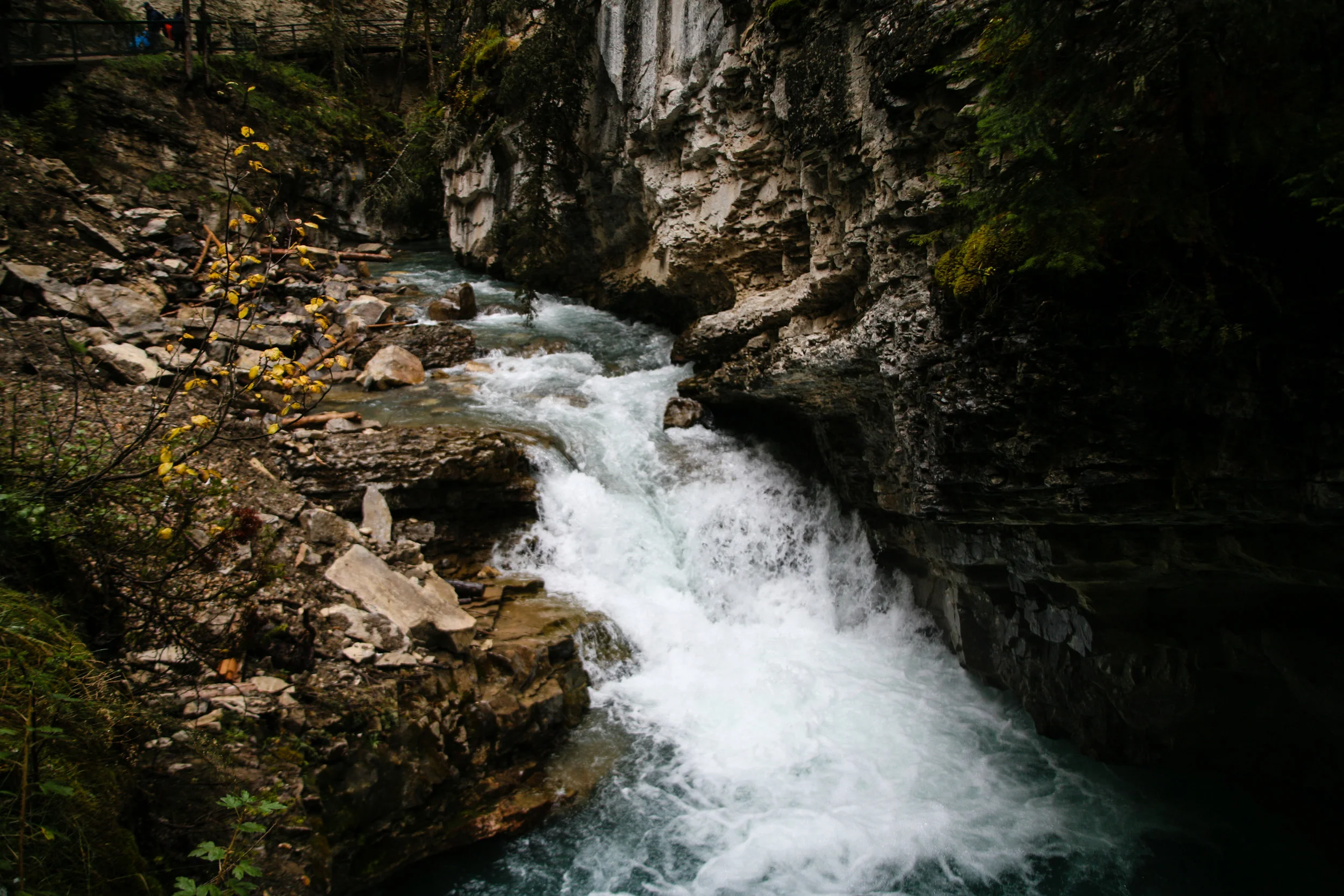 Banff, Revisited — folk