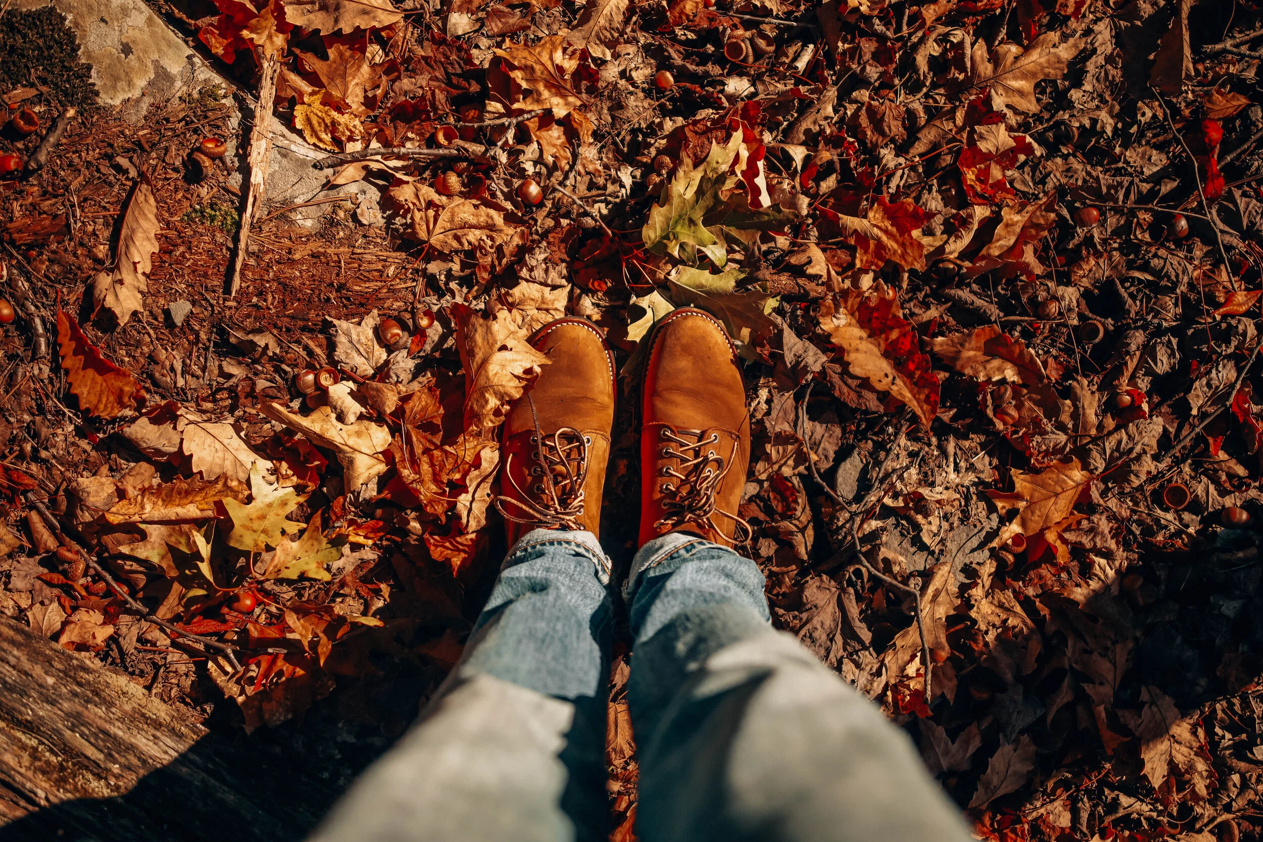 A Guide to Leaf Peeping and Autumn in the Catskills — folk