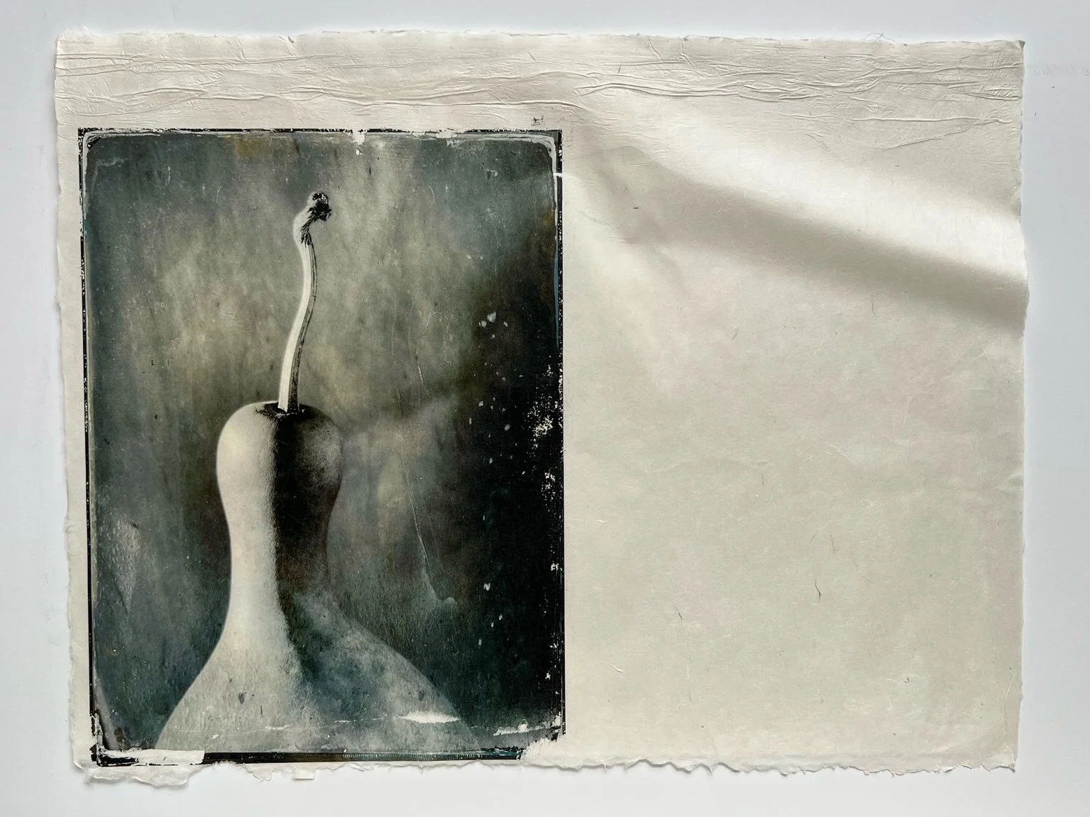 Workshops — Truro Center for the Arts at Castle Hill