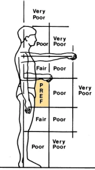 Two Weeks of Ergonomic Fun! Few Key Points — Fuel Physio, LLC