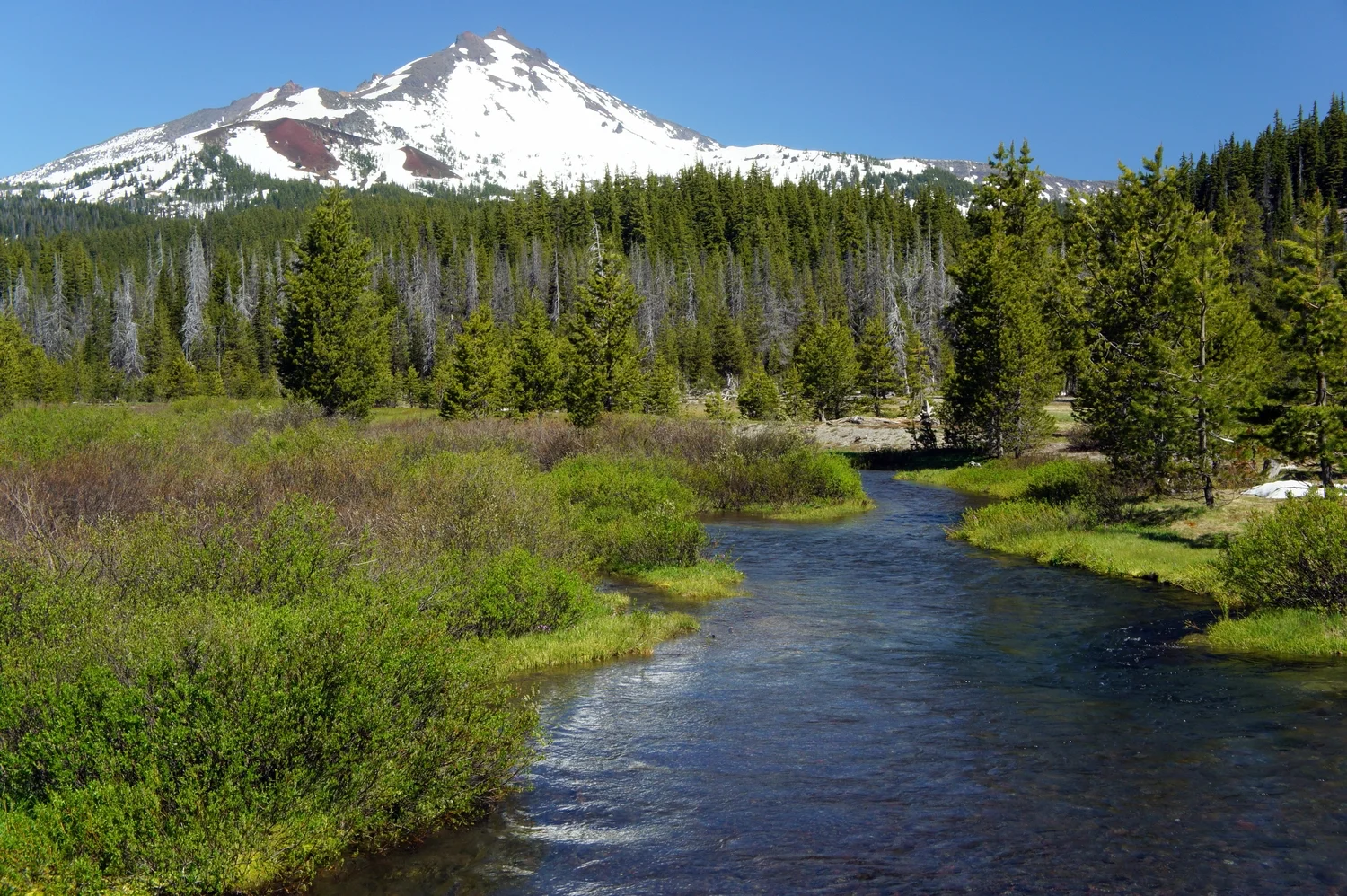 Mountain Spring PlasticsMountain Spring Plastics