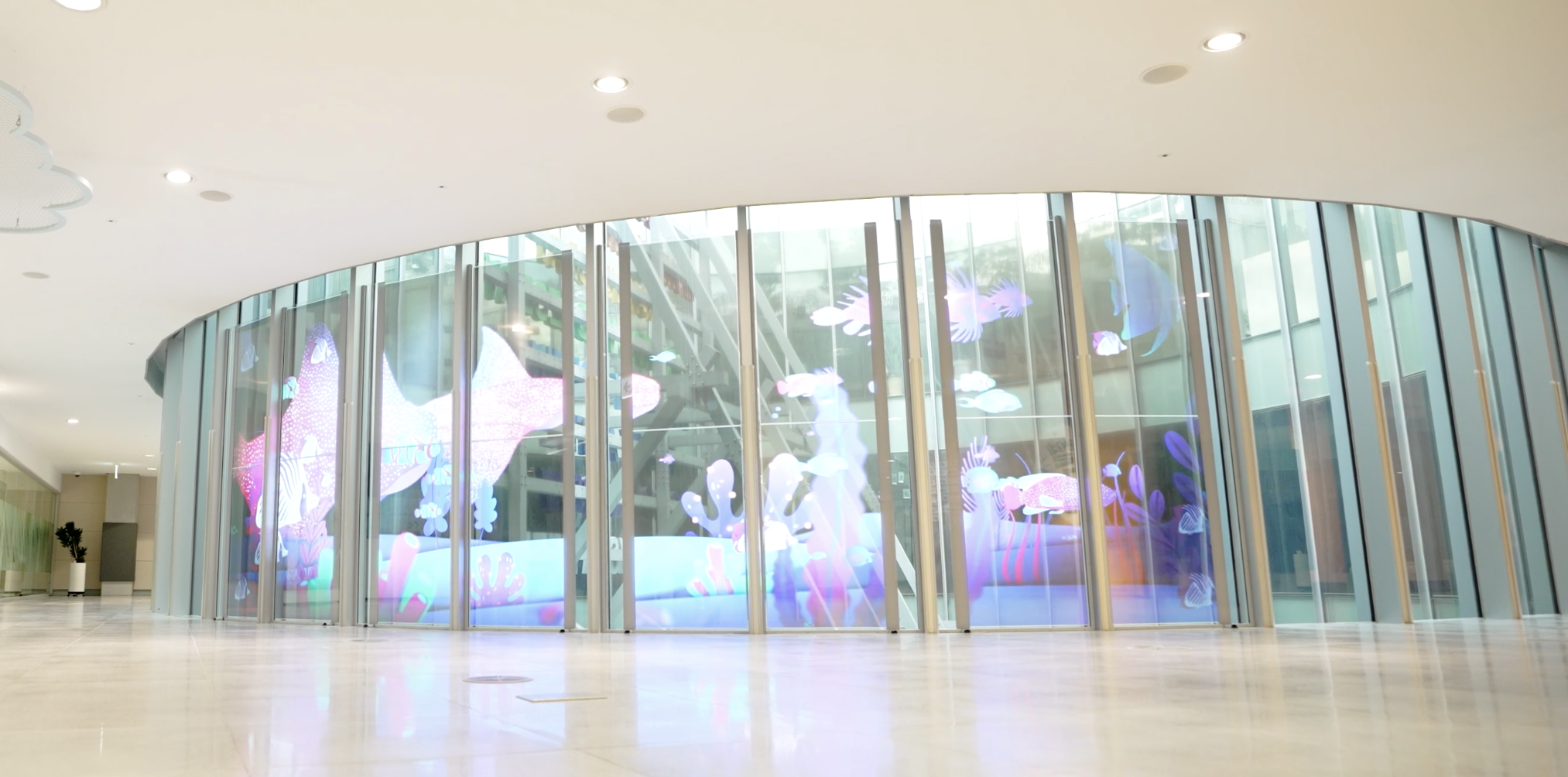 Transparent OLED — DAL